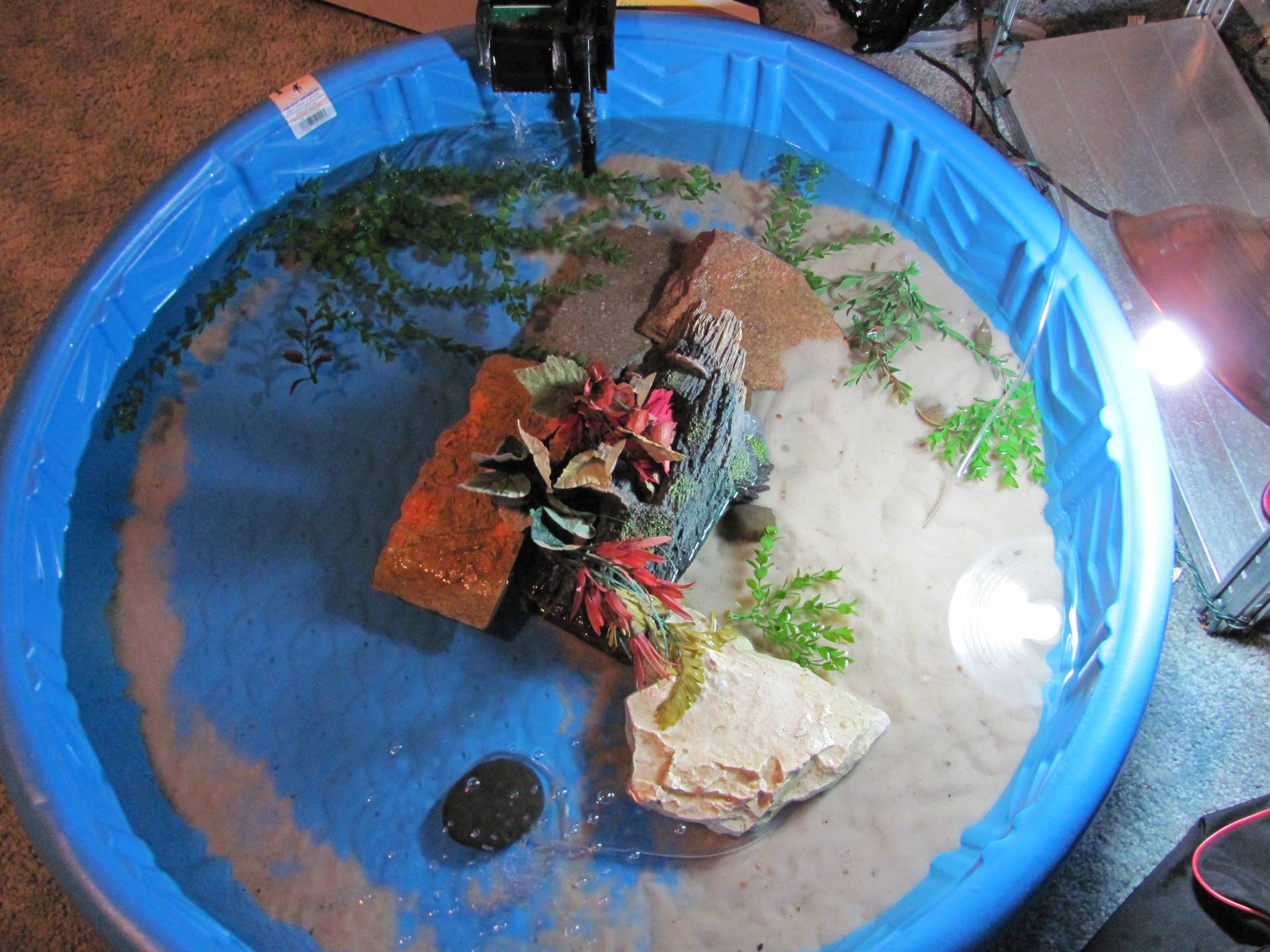 Indoor Turtle Pond Setup