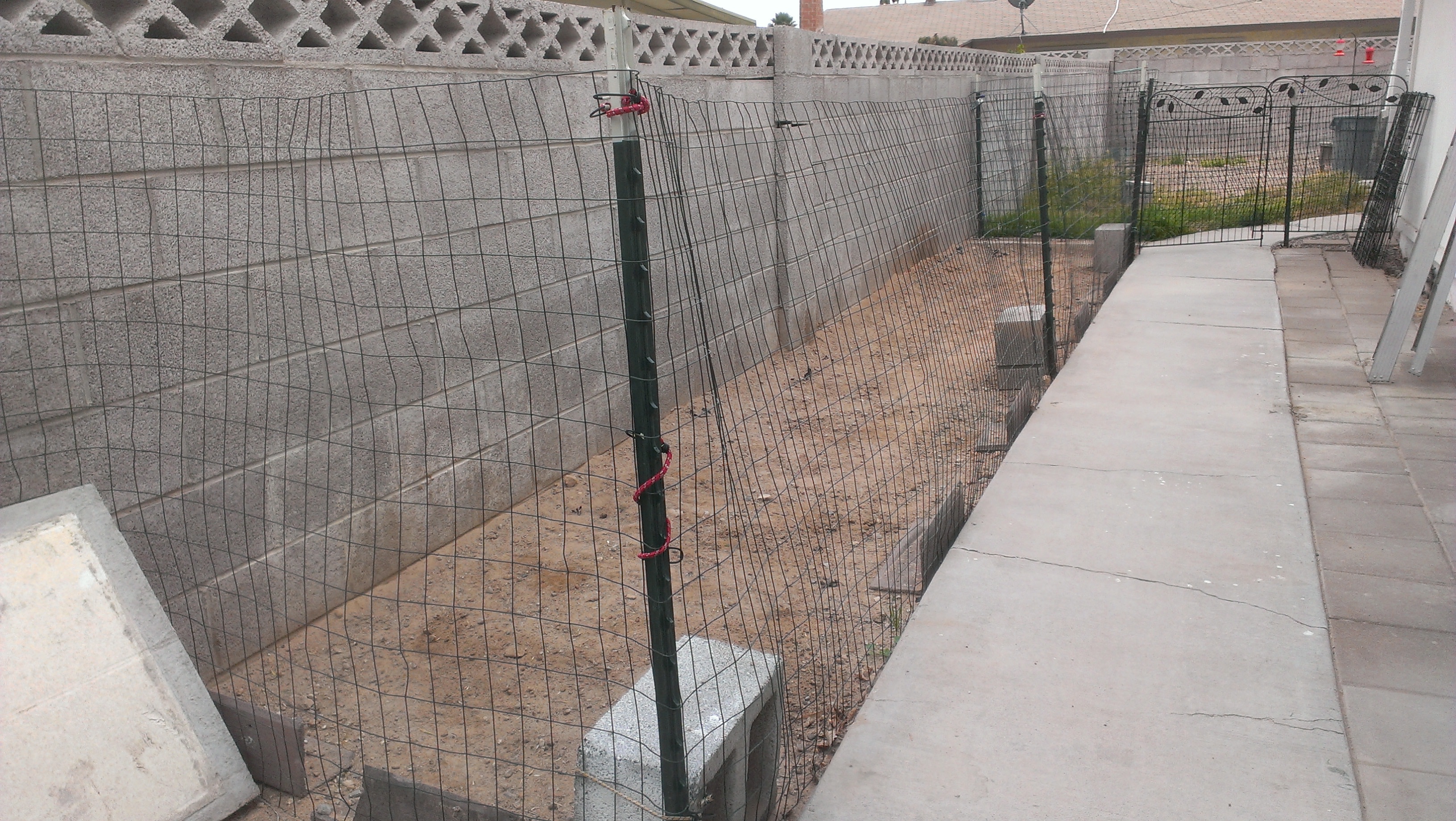 How to Build and Maintain an Inexpensive Dog Run