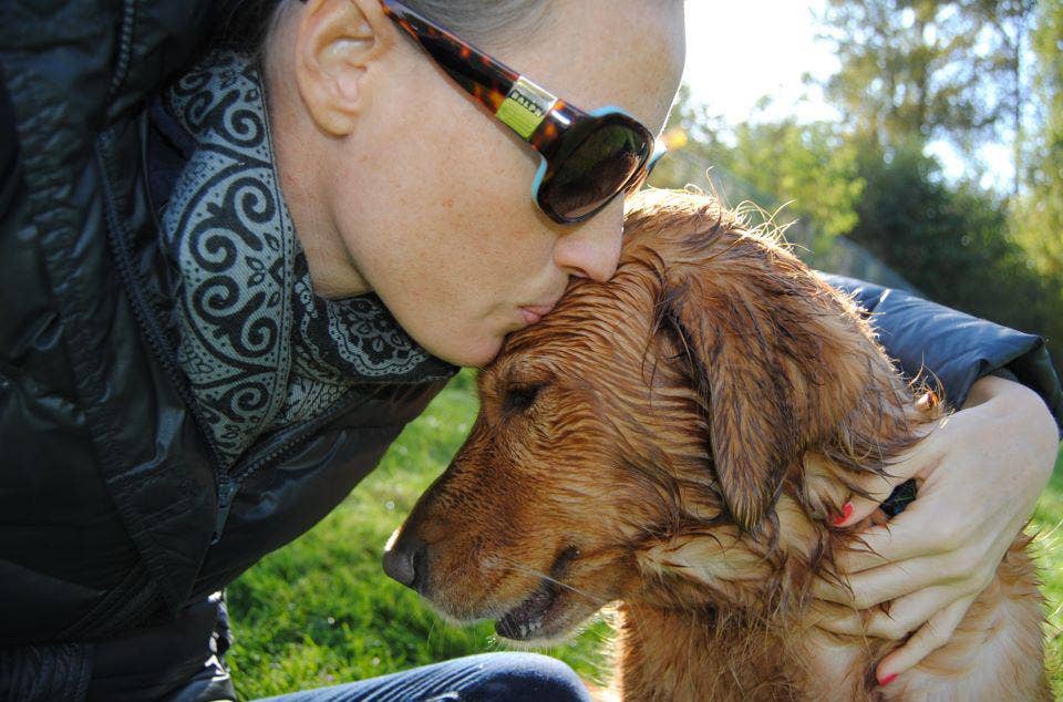 How to Raise a Dog