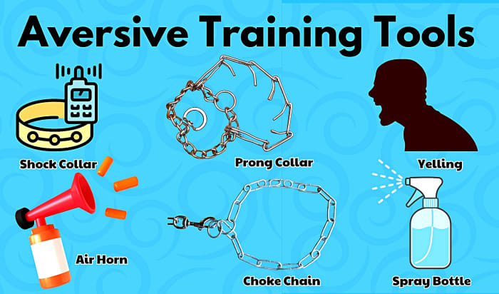 Dog Discipline: Does Hitting a Dog Work? - PetHelpful