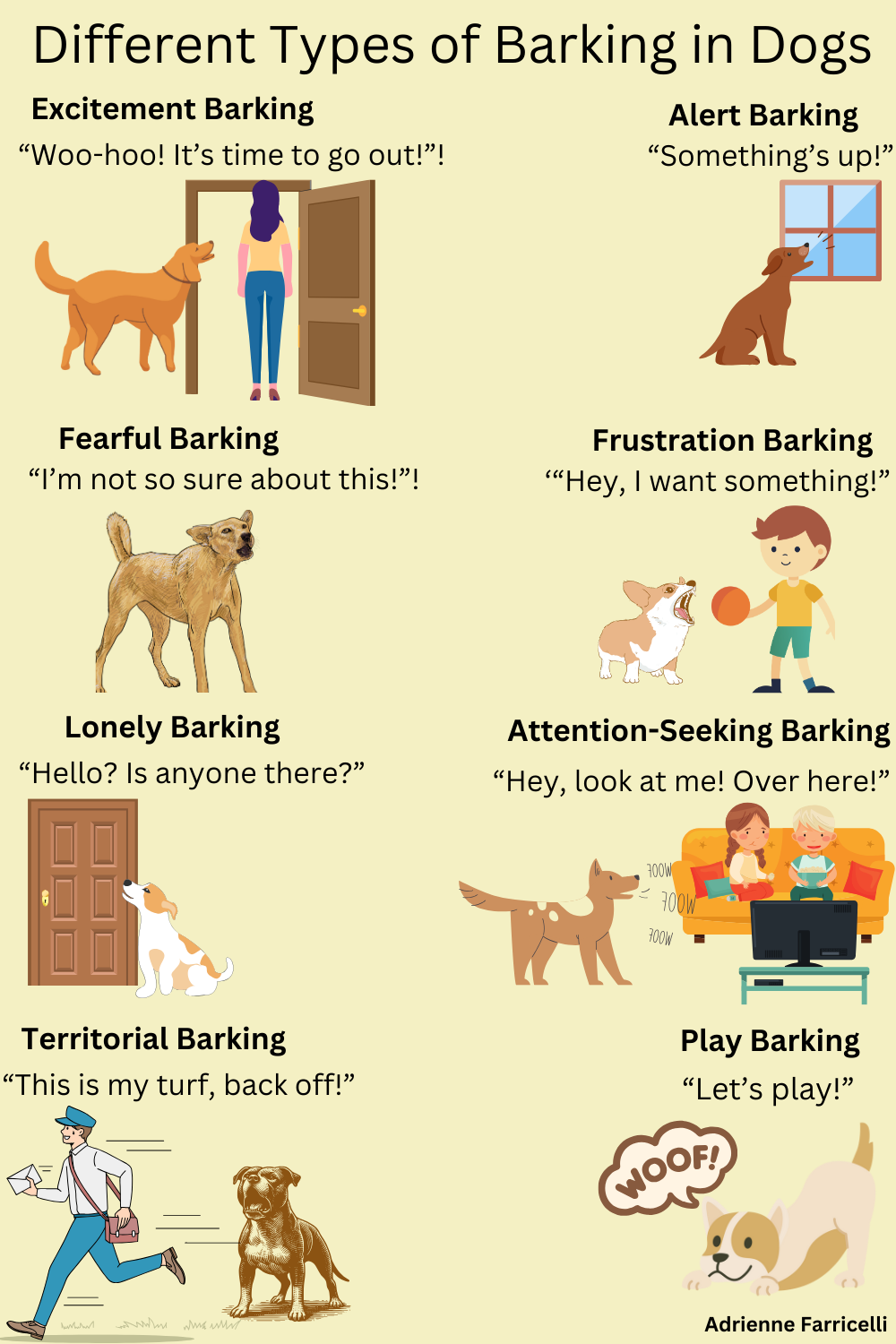 Expert Tips to Stop Excessive Barking, According to a Trainer - PetHelpful