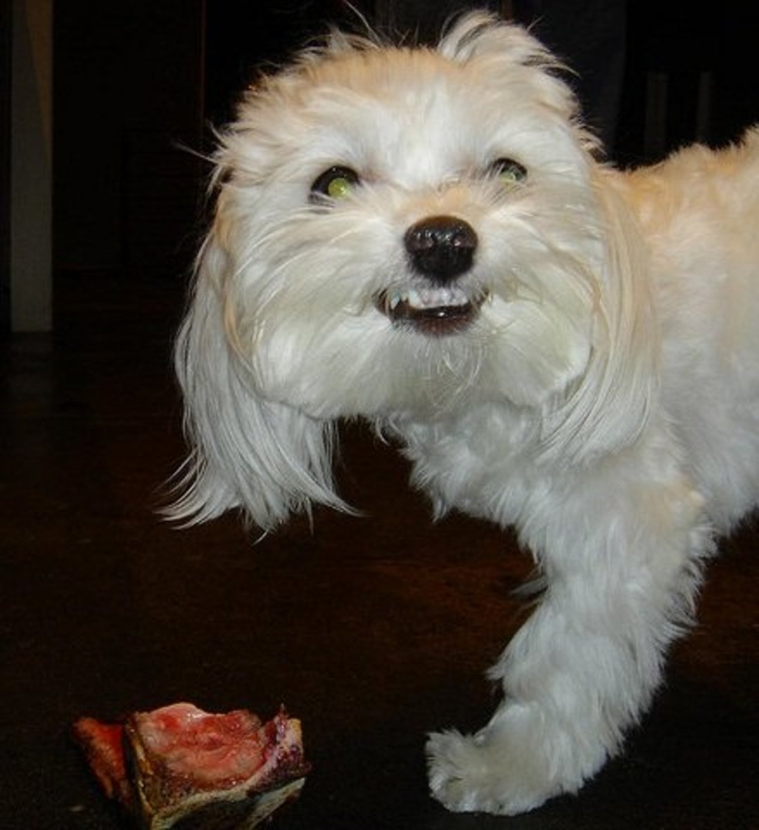 90+ Tough and Badass Dog Names: Outlaws and Gangsters - PetHelpful