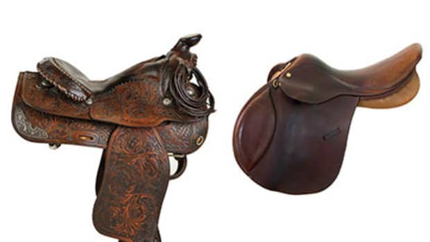 English vs. Western for New Riders - PetHelpful