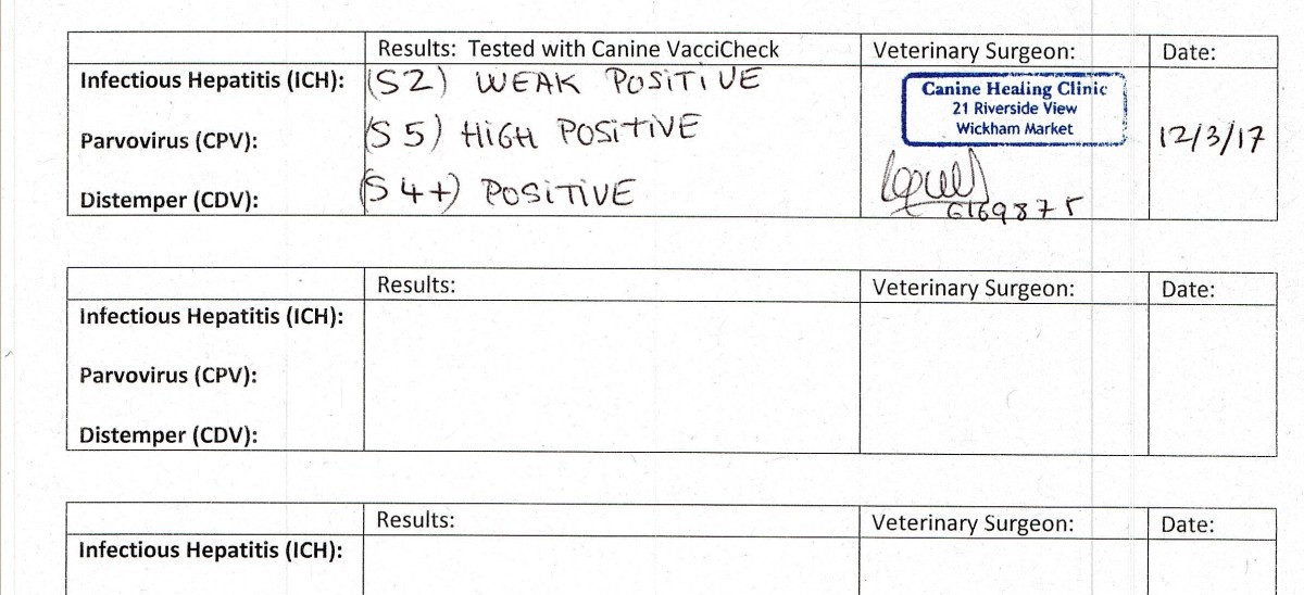 What Is Titre Testing and Is It an Alternative to Vaccinations ...