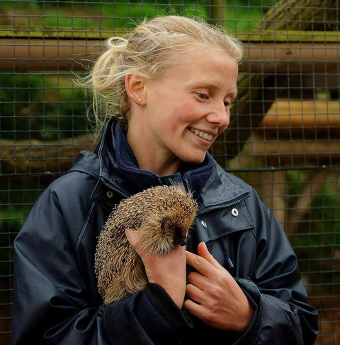 A Complete Guide to Raising Pet Hedgehogs - PetHelpful