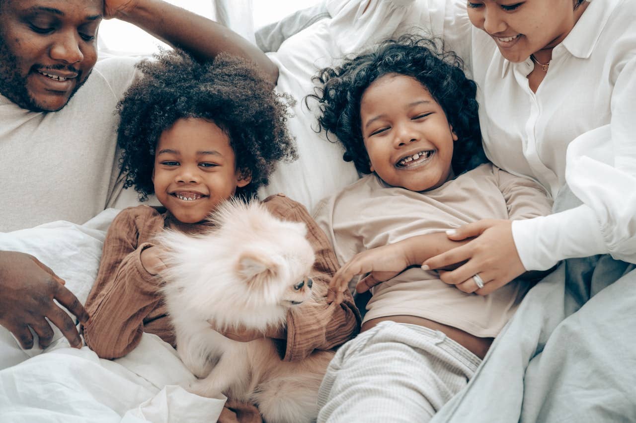 Complete the Family With These Top 10 Kid-Friendly Dogs - PetHelpful