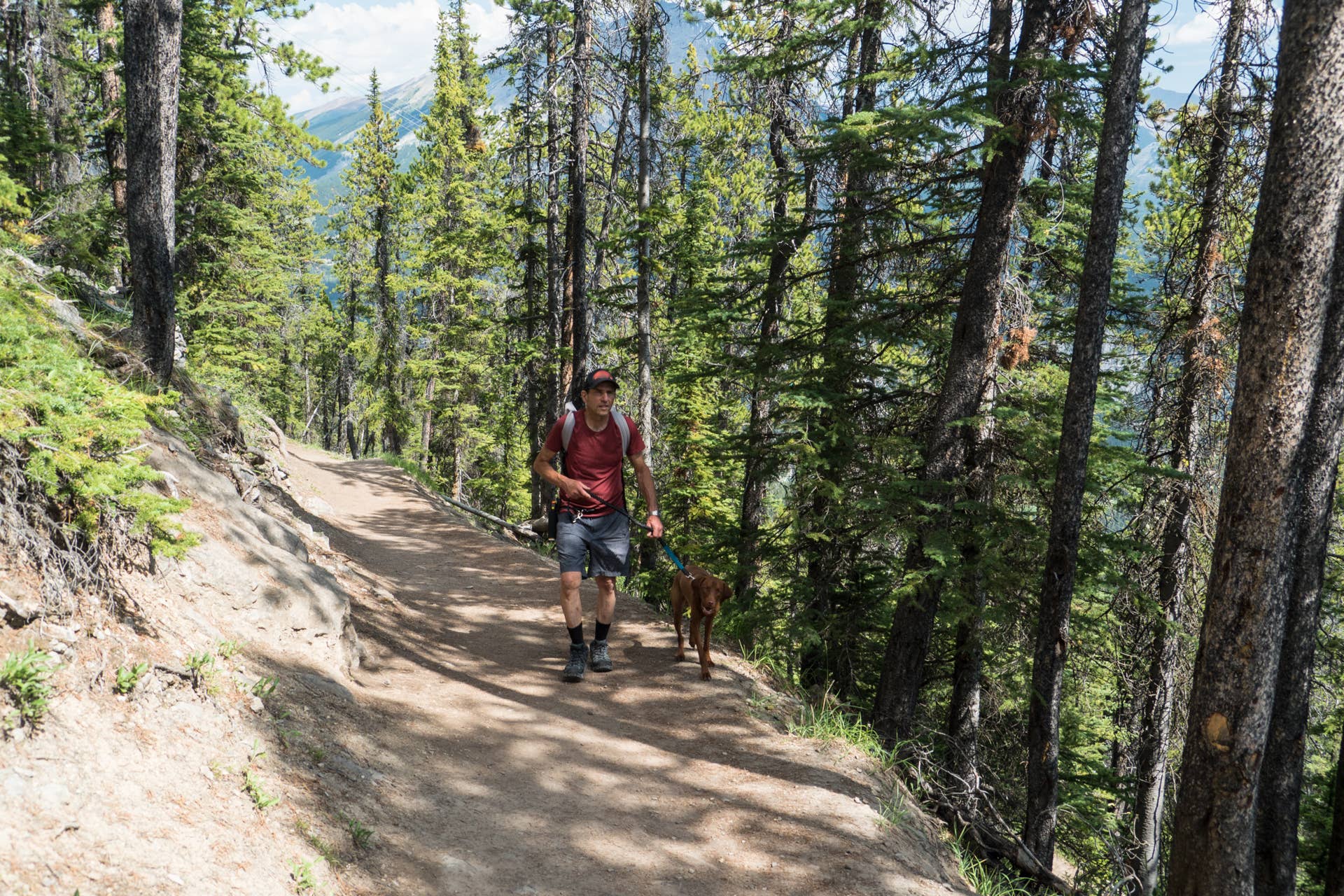 How to Train Your Dog to Hike/Walk Off-Leash - PetHelpful