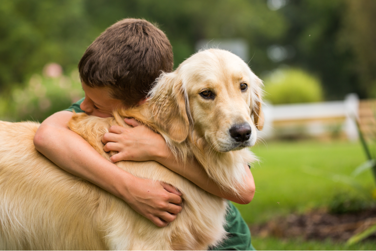Worst and Best Dog Breeds for a Child on the Autism Spectrum - PetHelpful