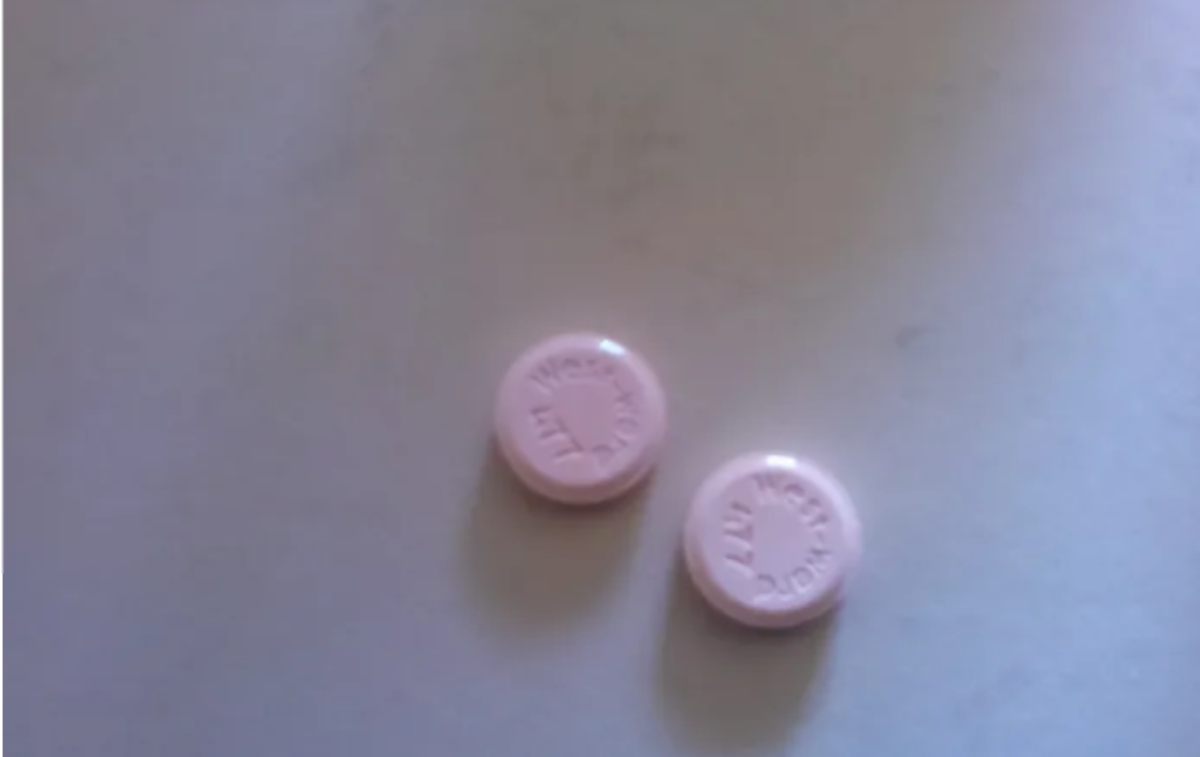 Are There Alternatives to Apoquel? 11 Options for Your Dog - PetHelpful