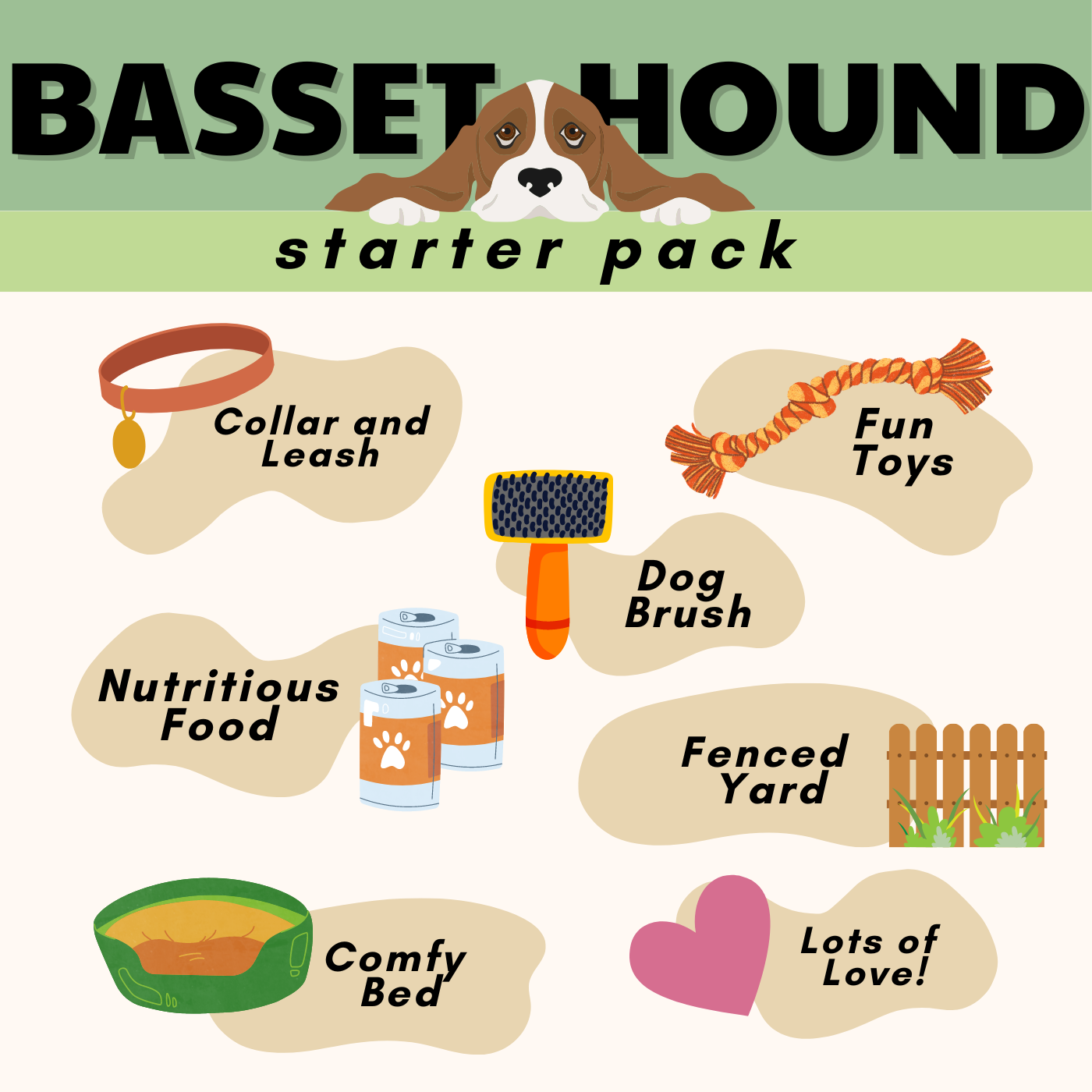 Basset Hounds: A Comprehensive Guide for New Dog Owners - PetHelpful