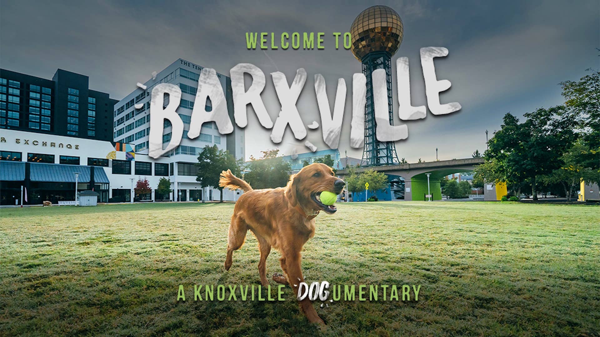 Adorable Golden Retriever Highlights Why Tennessee City Should Be on ...