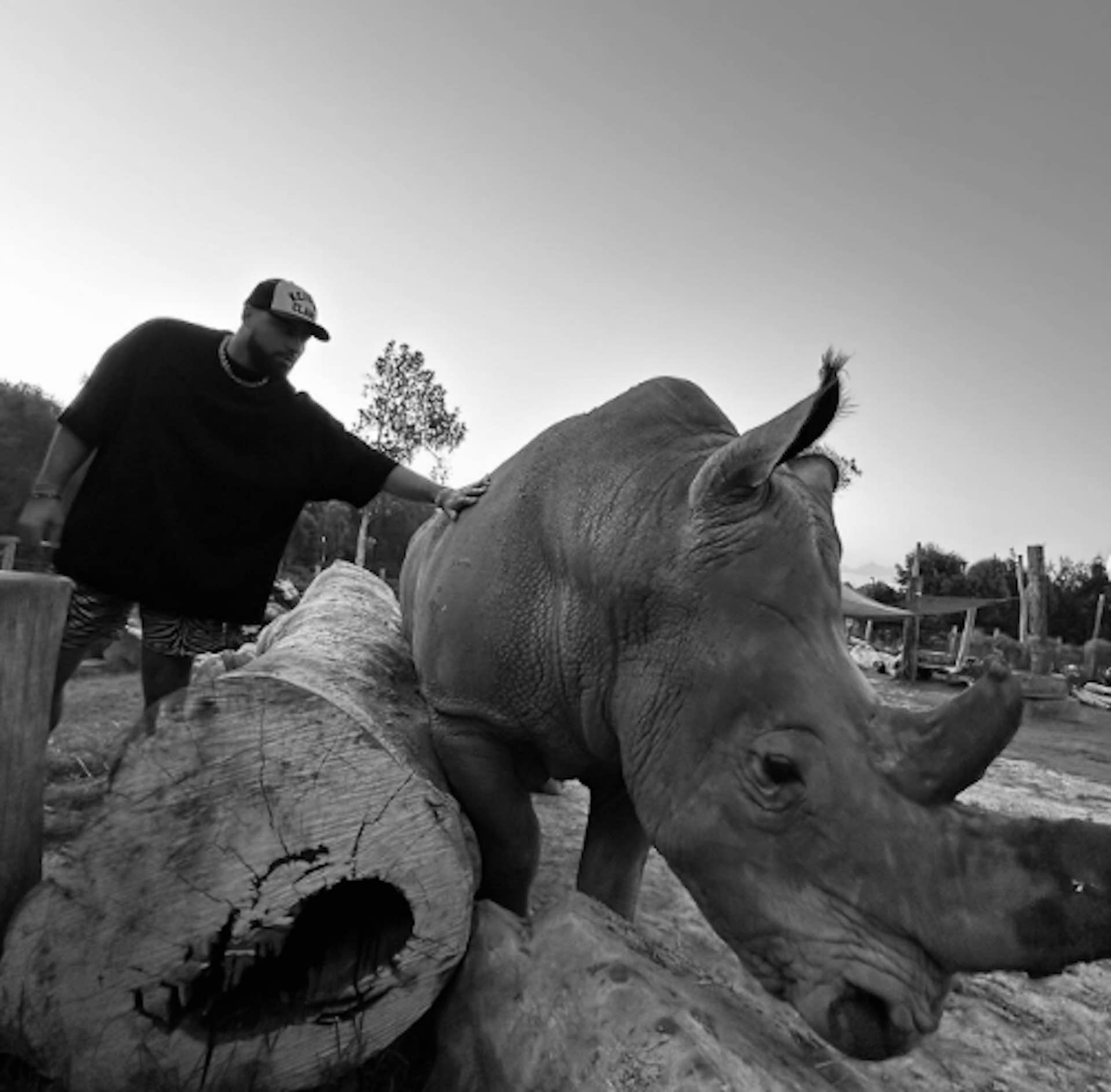 Travis Kelce Describes Meeting Sydney Zoo Animals in the Most Travis ...