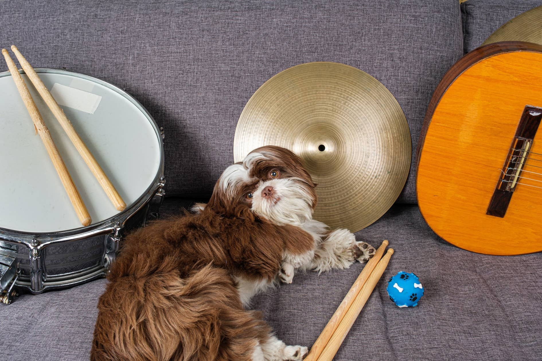 Drum Teacher From Norway Turns Pet Noises Into Bonafide Viral Hits ...