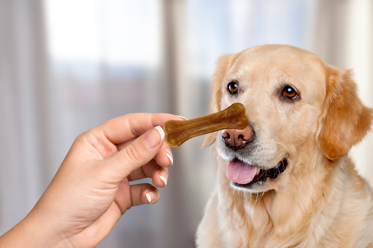 Veterinarian Lists 4 Dog Treats He Wishes People Would Stop Giving ...