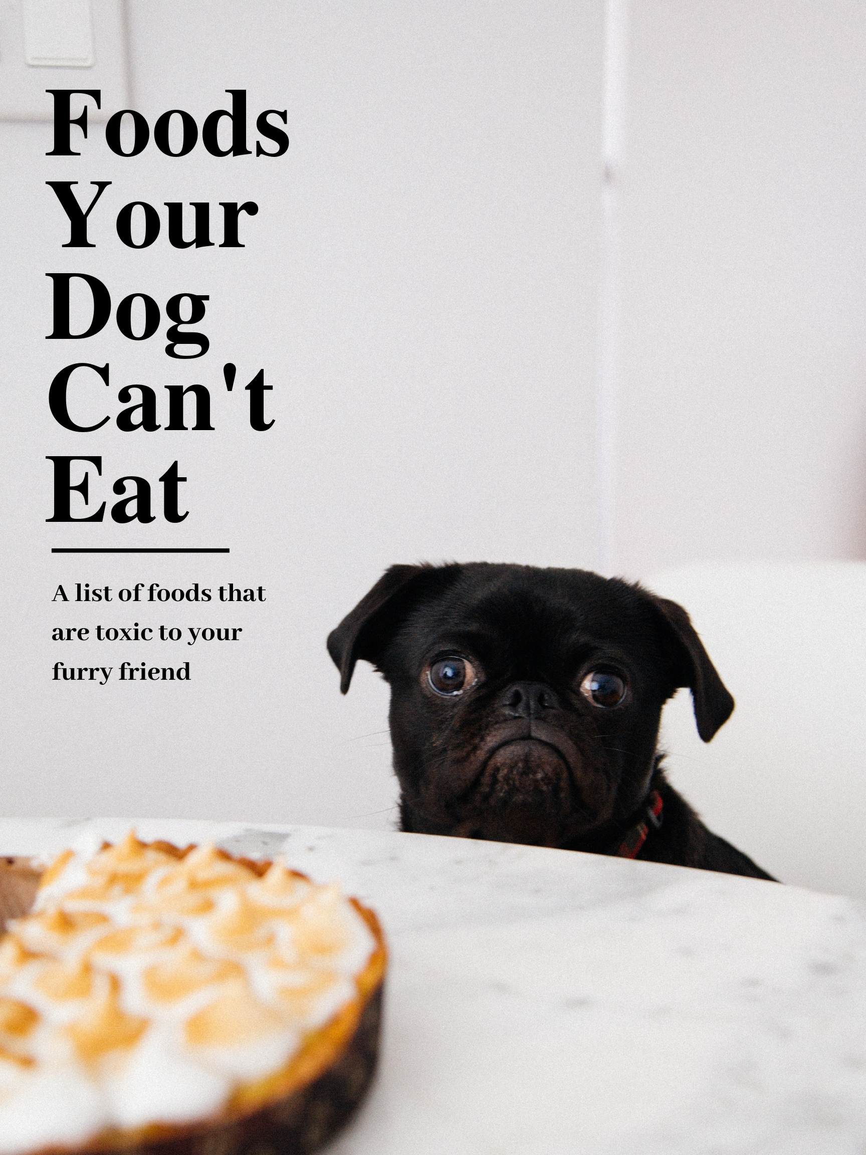 List of Toxic Human Foods Your Dog Cannot Eat - PetHelpful
