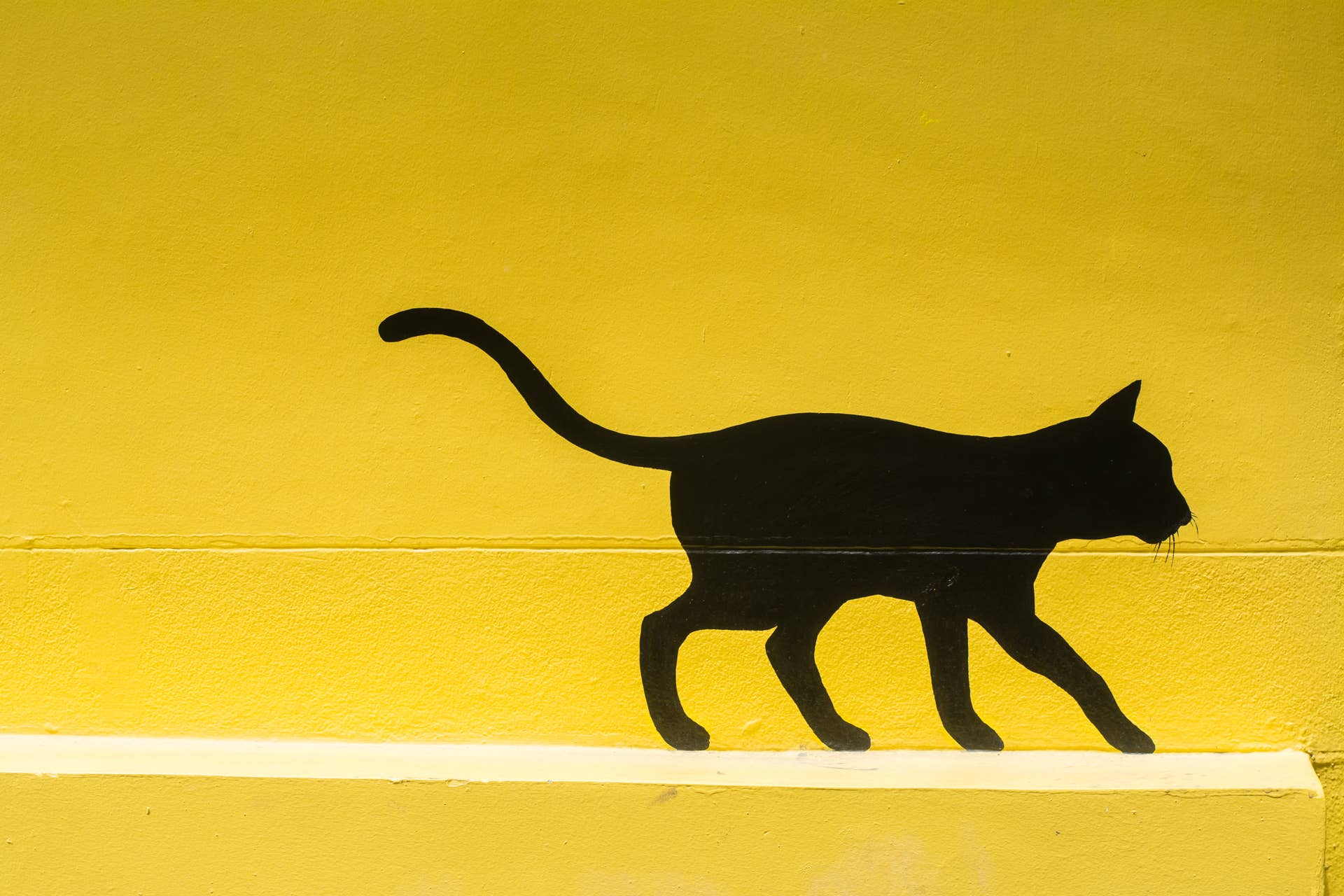 Man Paints Most Touching Graffiti Wall to Honor His Beloved Late Cat ...