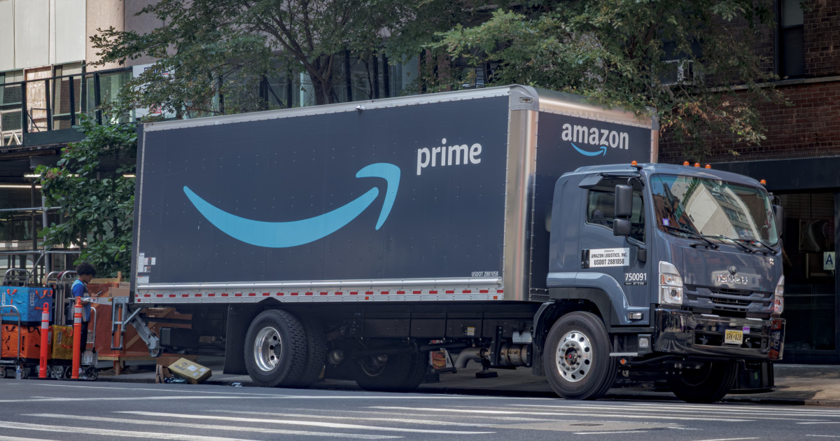 Amazon’s Bedsure Orthopedic Dog Bed Is a Must-Have - PetHelpful