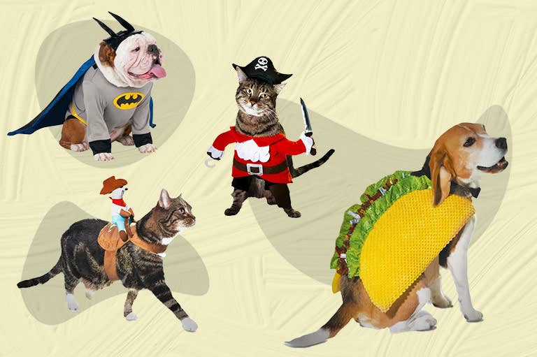 5 Adorable Petco Halloween Costumes Starting at Just $12 - PetHelpful