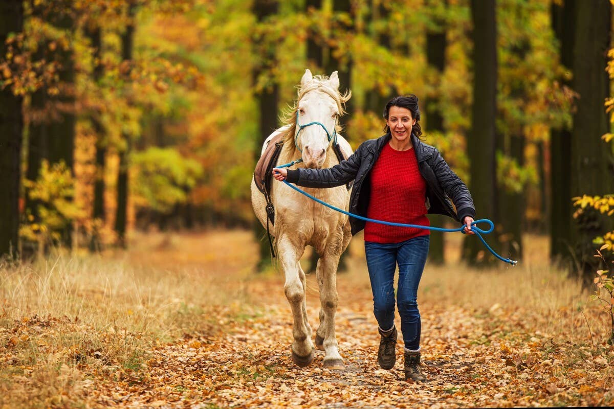 Donkey, Horse, and Dogs Running With Their Human Are the Cutest Jogging ...