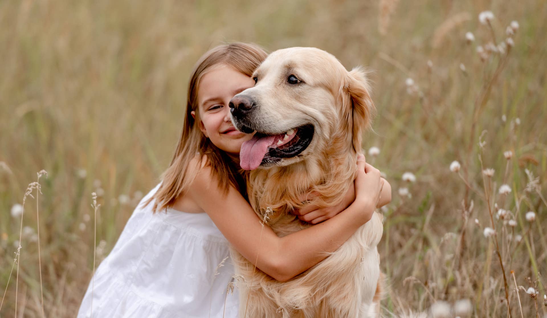 Hugs From This Golden Retriever 'Could Cure Anything' - PetHelpful
