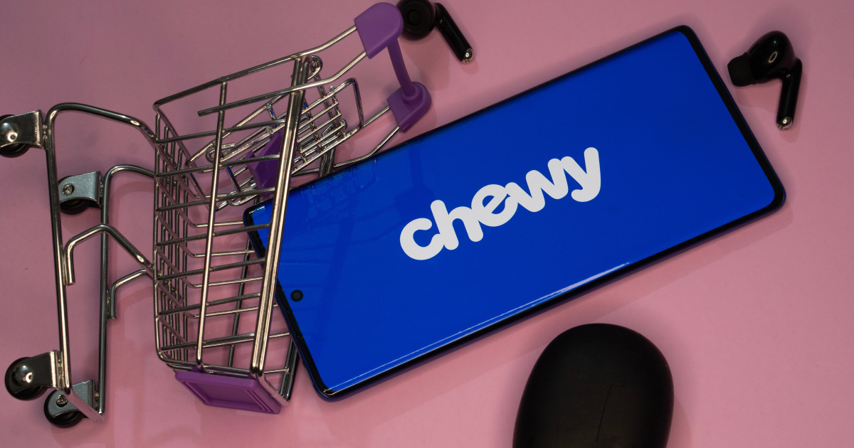 Chewy’s Healers Urban Walkers III Dog Boots Are a Must-Have - PetHelpful