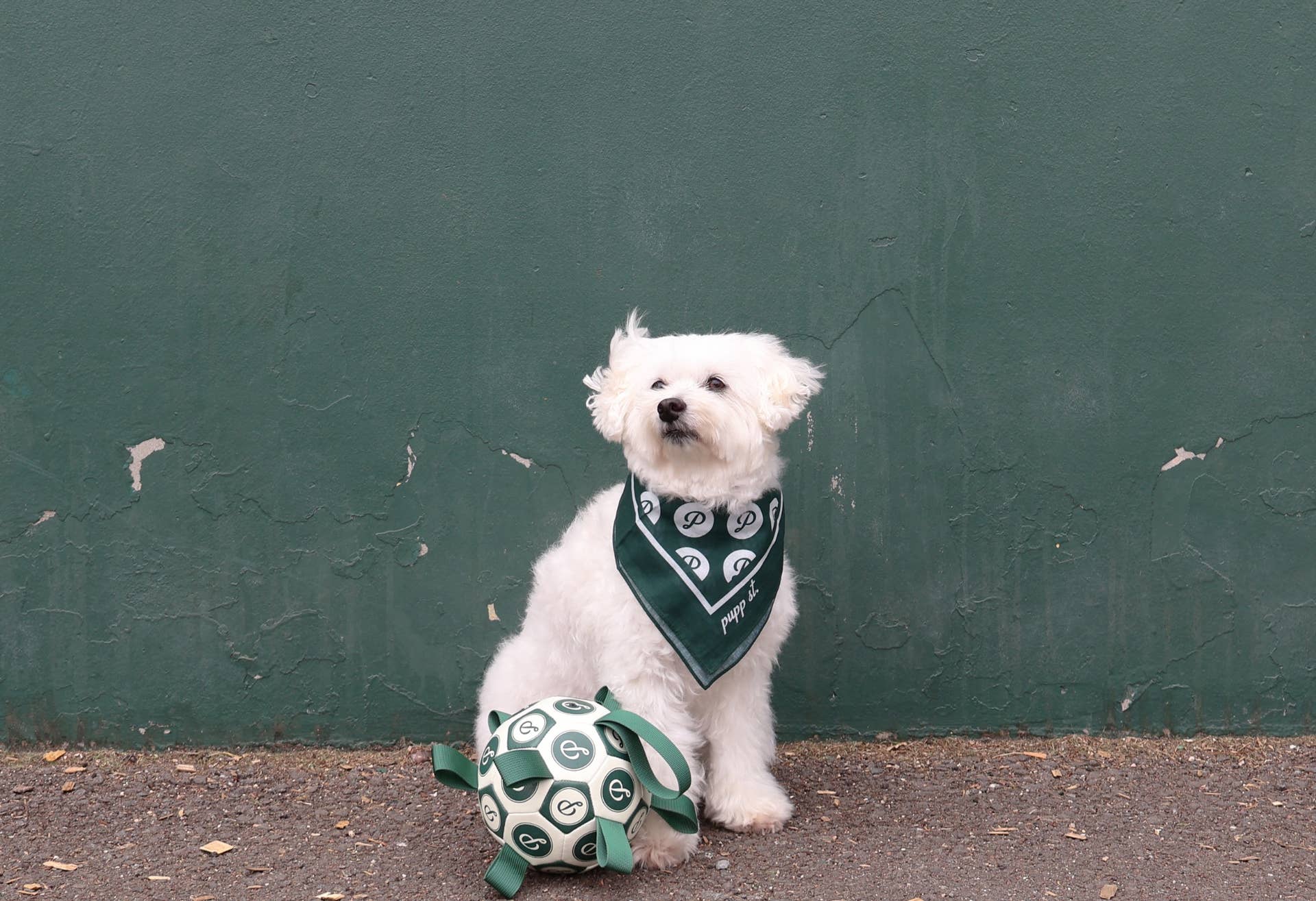 Dogs Love This Tug-Friendly Soccer Ball From Pupp St. - PetHelpful