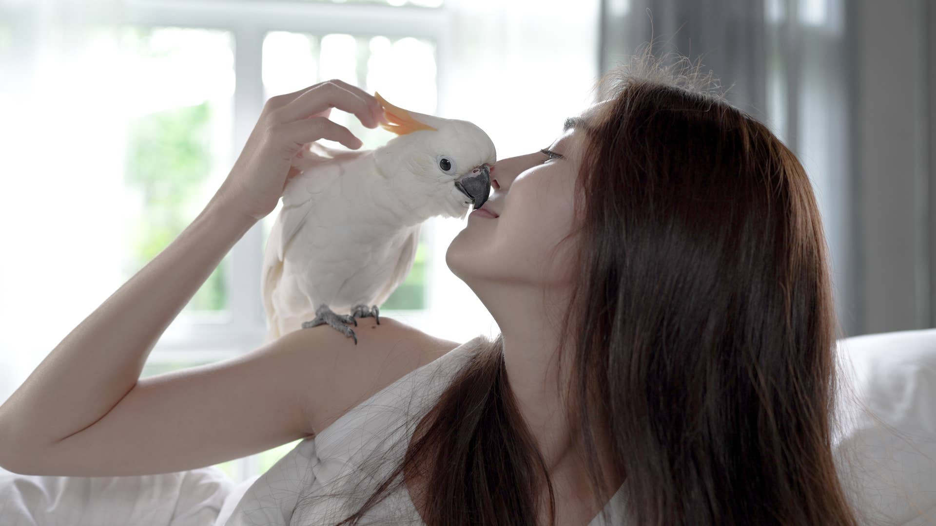 Cockatoo Shows Genuine Concern When He Sees His Mom Crying - PetHelpful