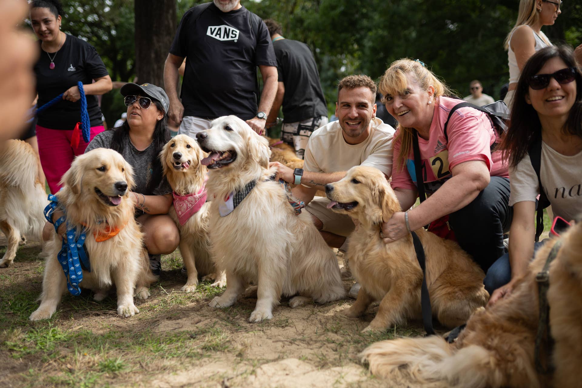 Record-Breaking Golden Retriever Gathering Is Every Dog Lover’s Dream ...