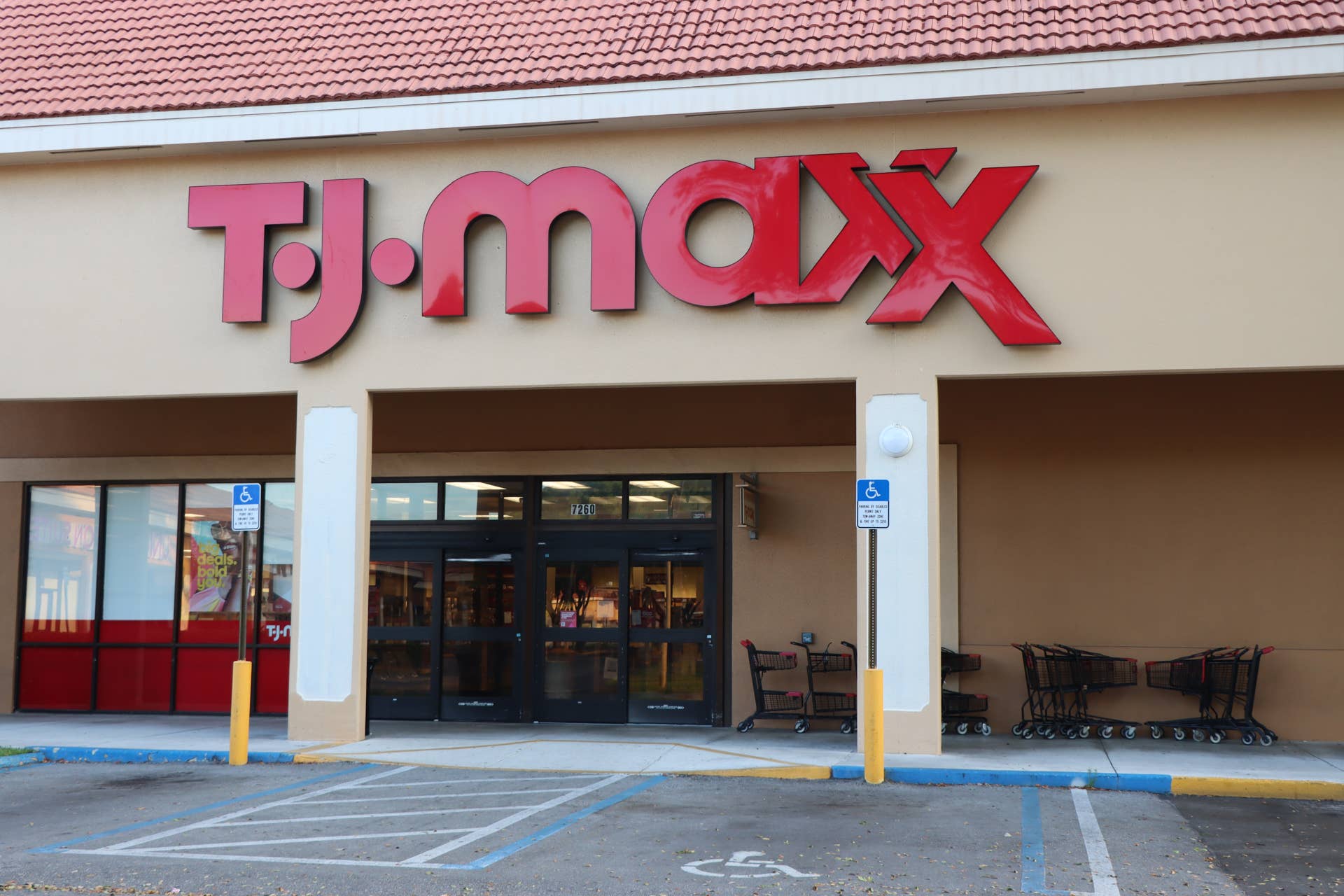 TJ Maxx Has a Festive Dog Toy Trio for Under $6 - PetHelpful