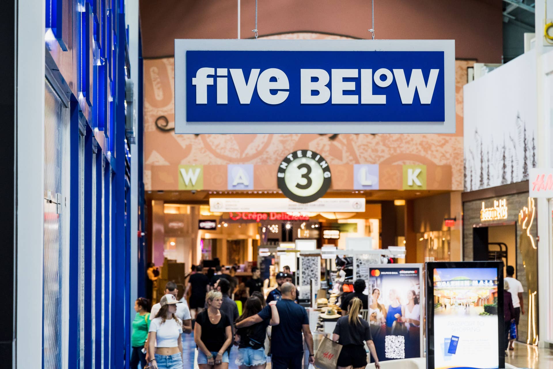 Five Below’s $15 Elevated Pet Bowl Set Is a Steal - PetHelpful