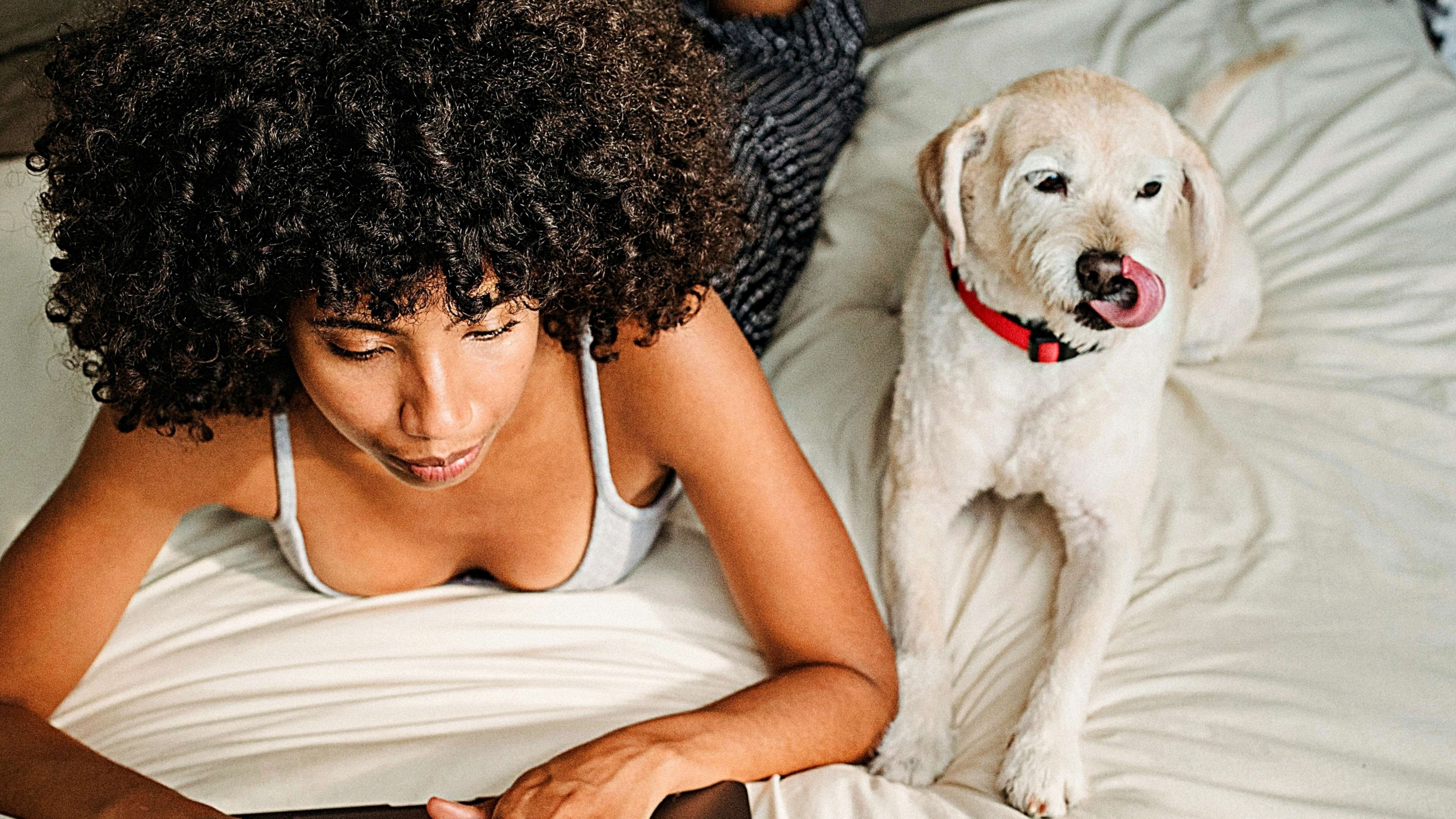 10 Reasons Why Your Dog Keeps Licking Their Lips