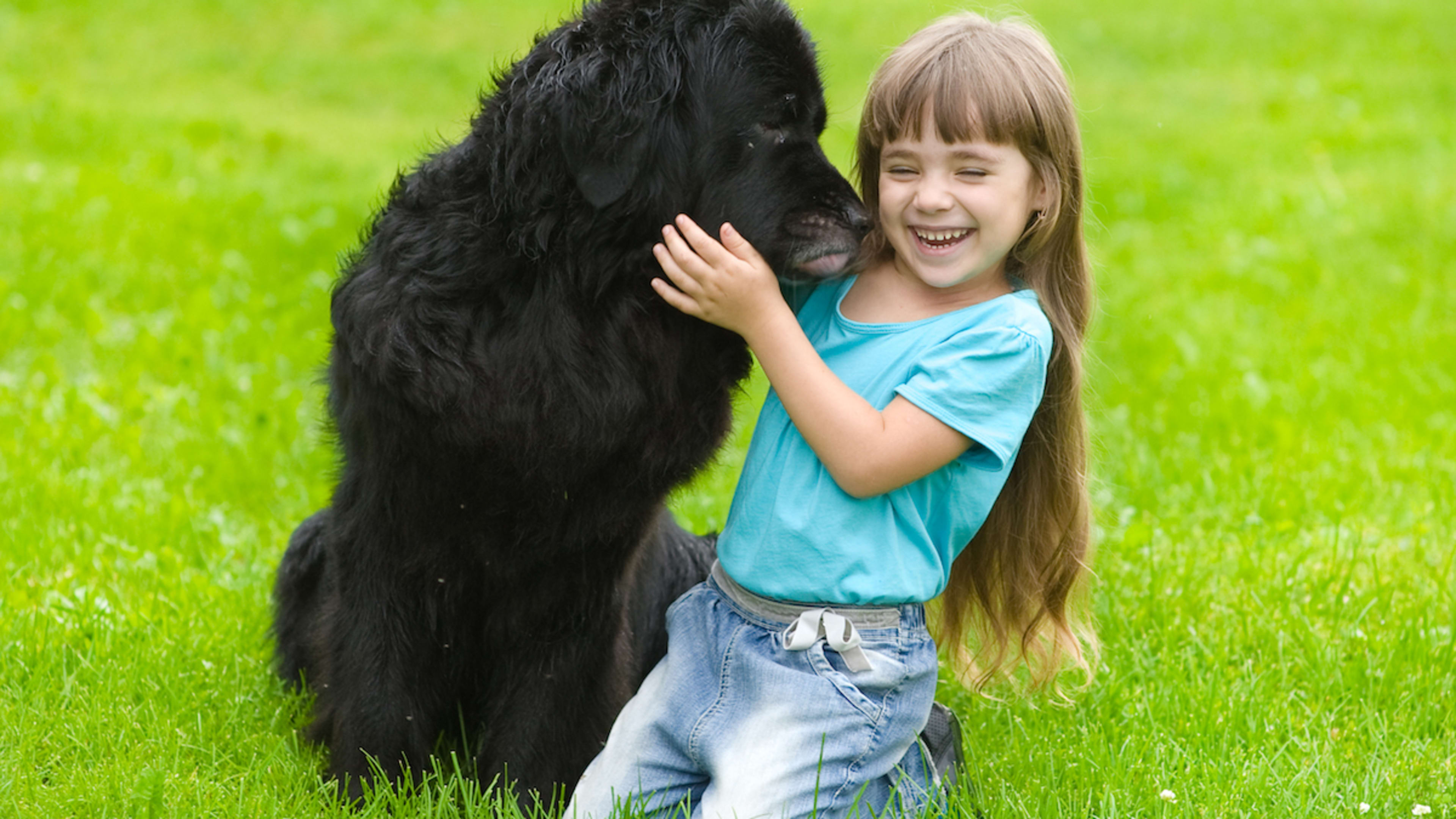 Newfoundland Refuses to Walk Little Boy to School After His Instinct ...