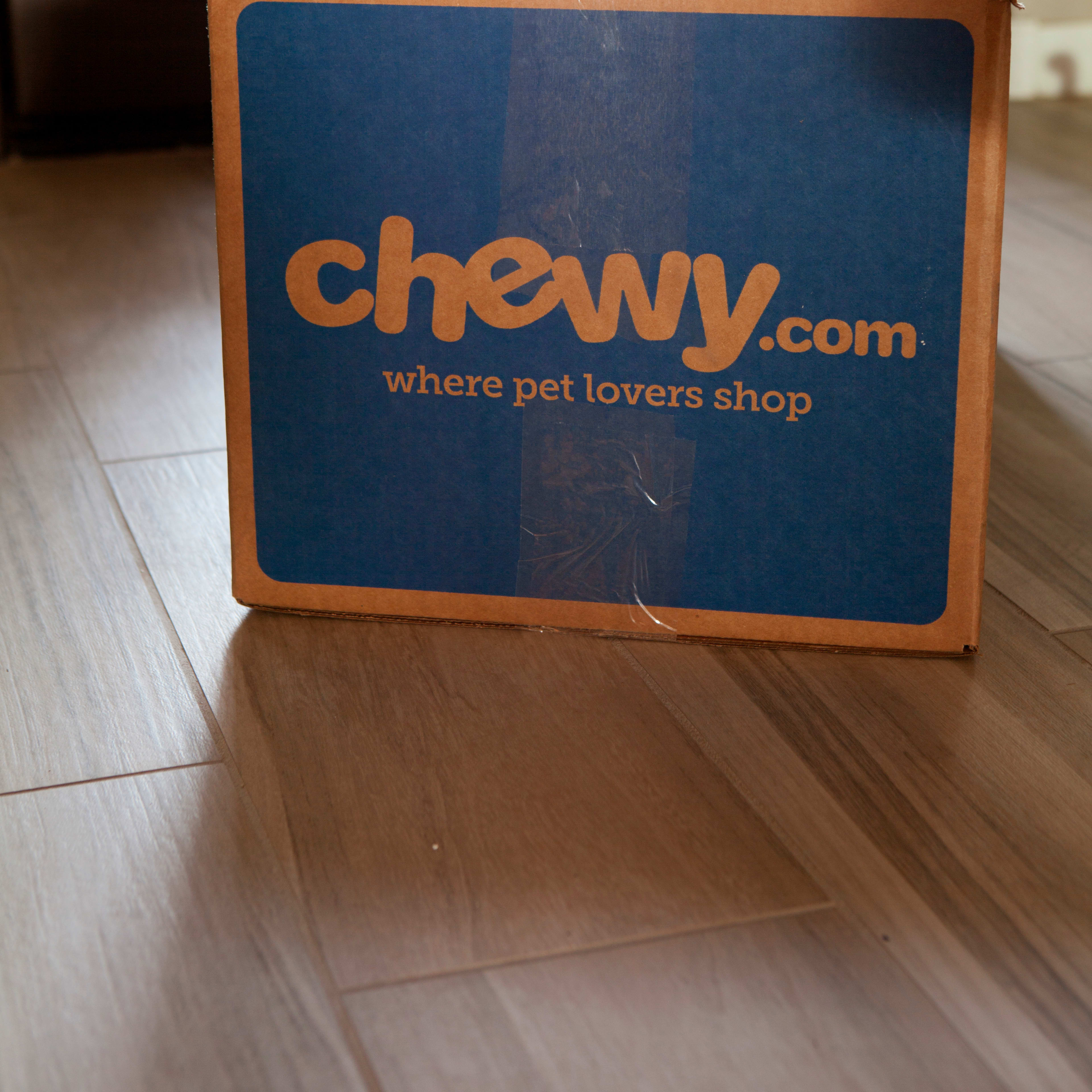 Story of Cow with 'Extra Limb on His Head' Being Accepted by Herd Is ...