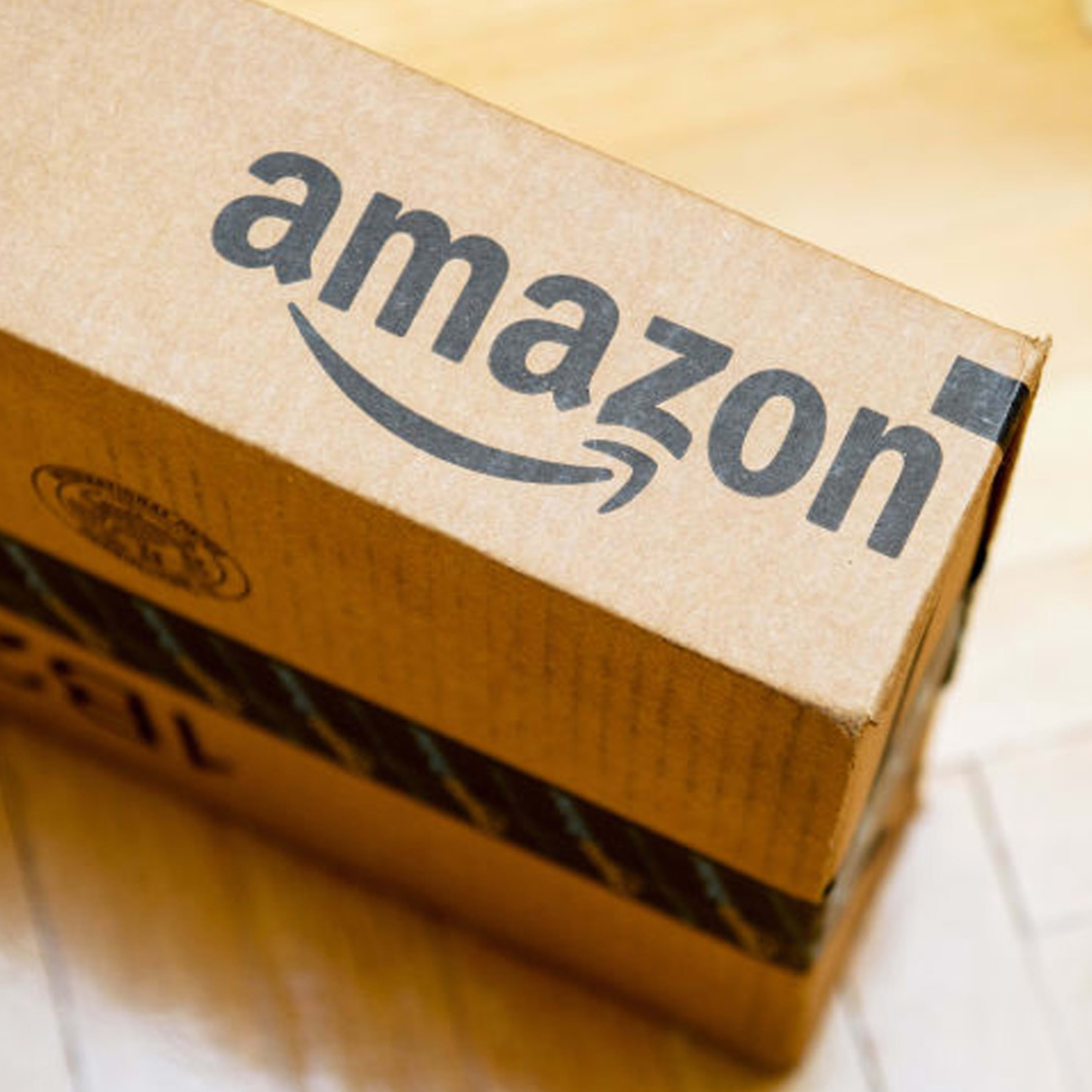 Tiny Dachshund Frolicking in Deep Snow Is Pure Winter Magic - PetHelpful