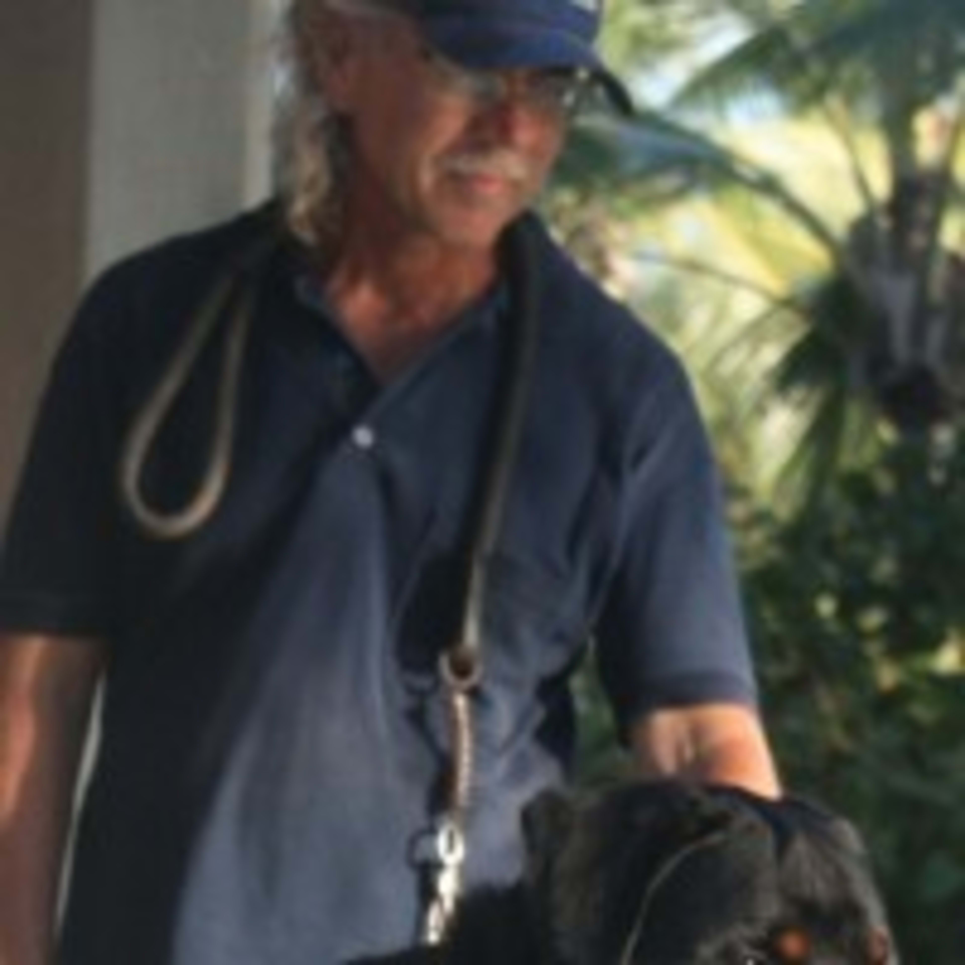 Muscle Atrophy in Cats: What Causes It? - PetHelpful