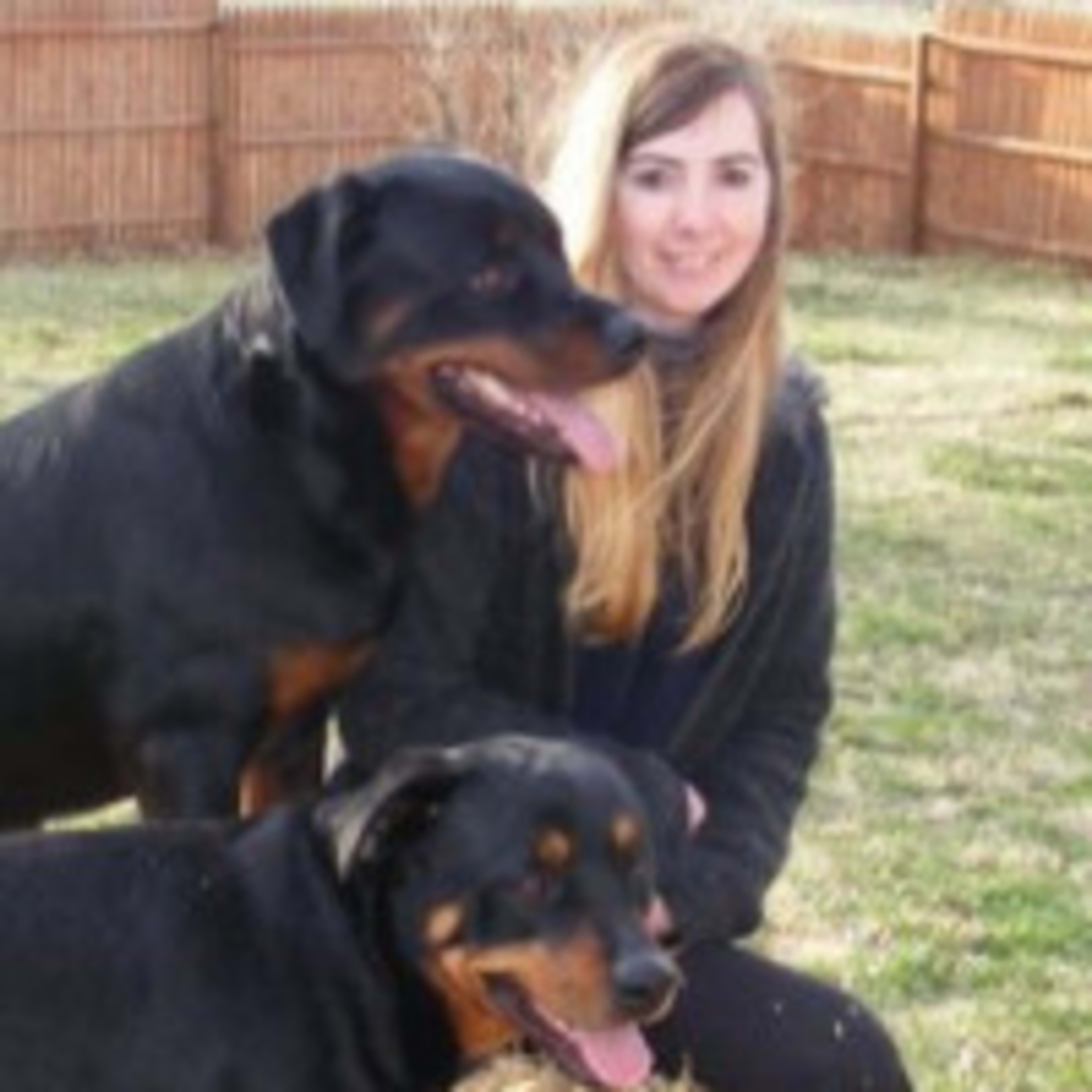 Why Does My Dog's Poop Look Like It Has Rice in It? (With Pictures ...