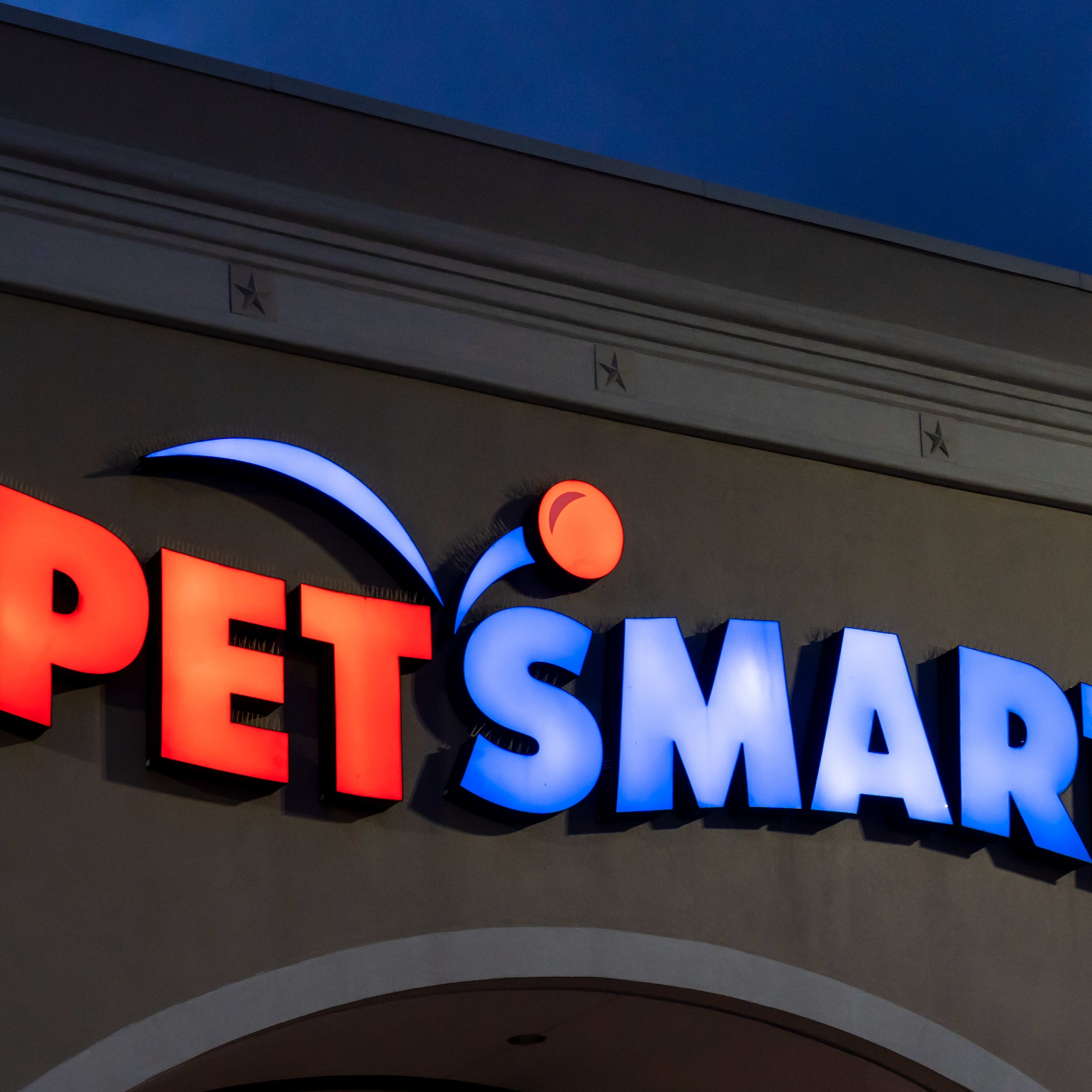 PetSmart’s New ‘Home Alone’ Dog Sweater Is the Funniest Holiday Drop of ...