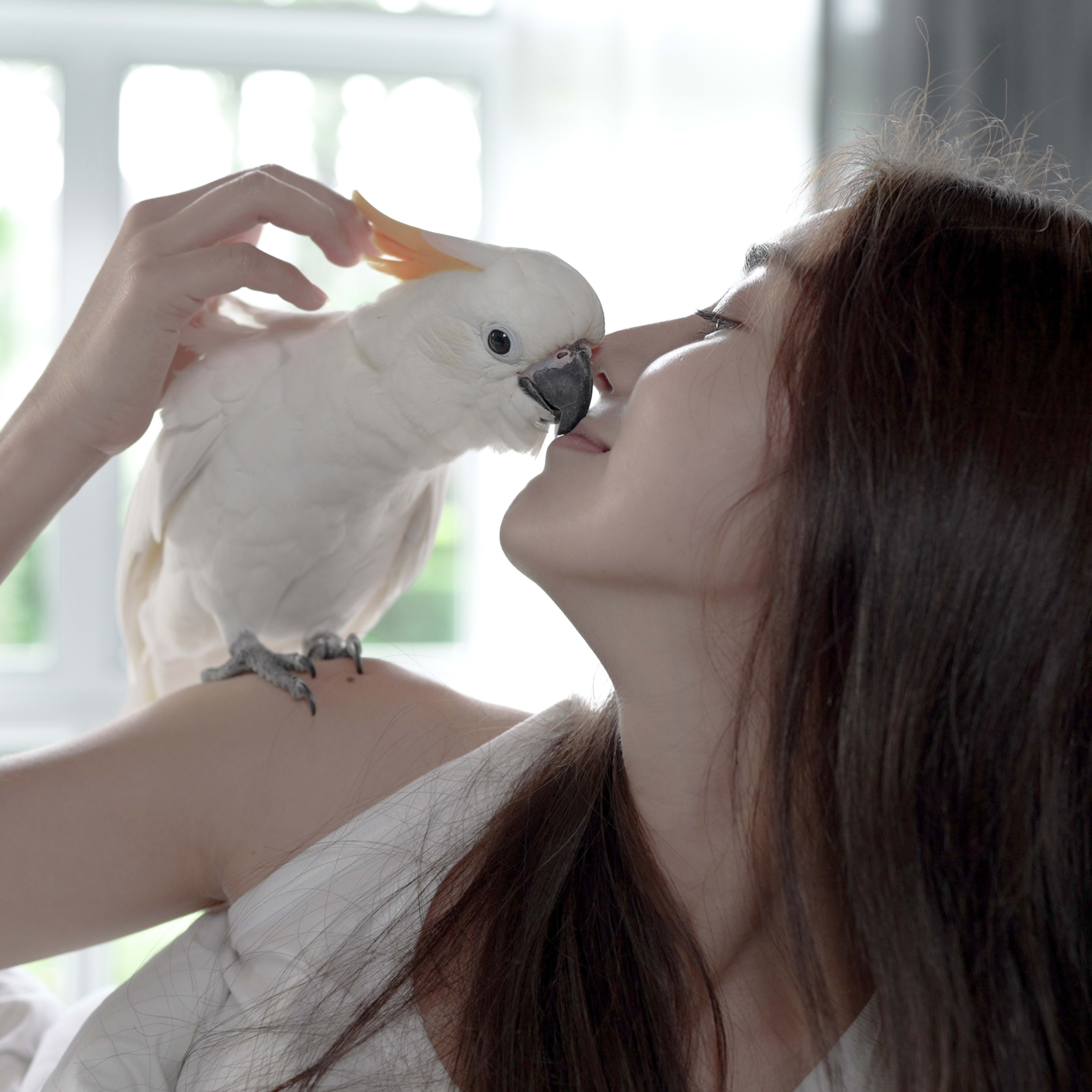 The 10 Best Natural Snacks and Treats for Ducks - PetHelpful