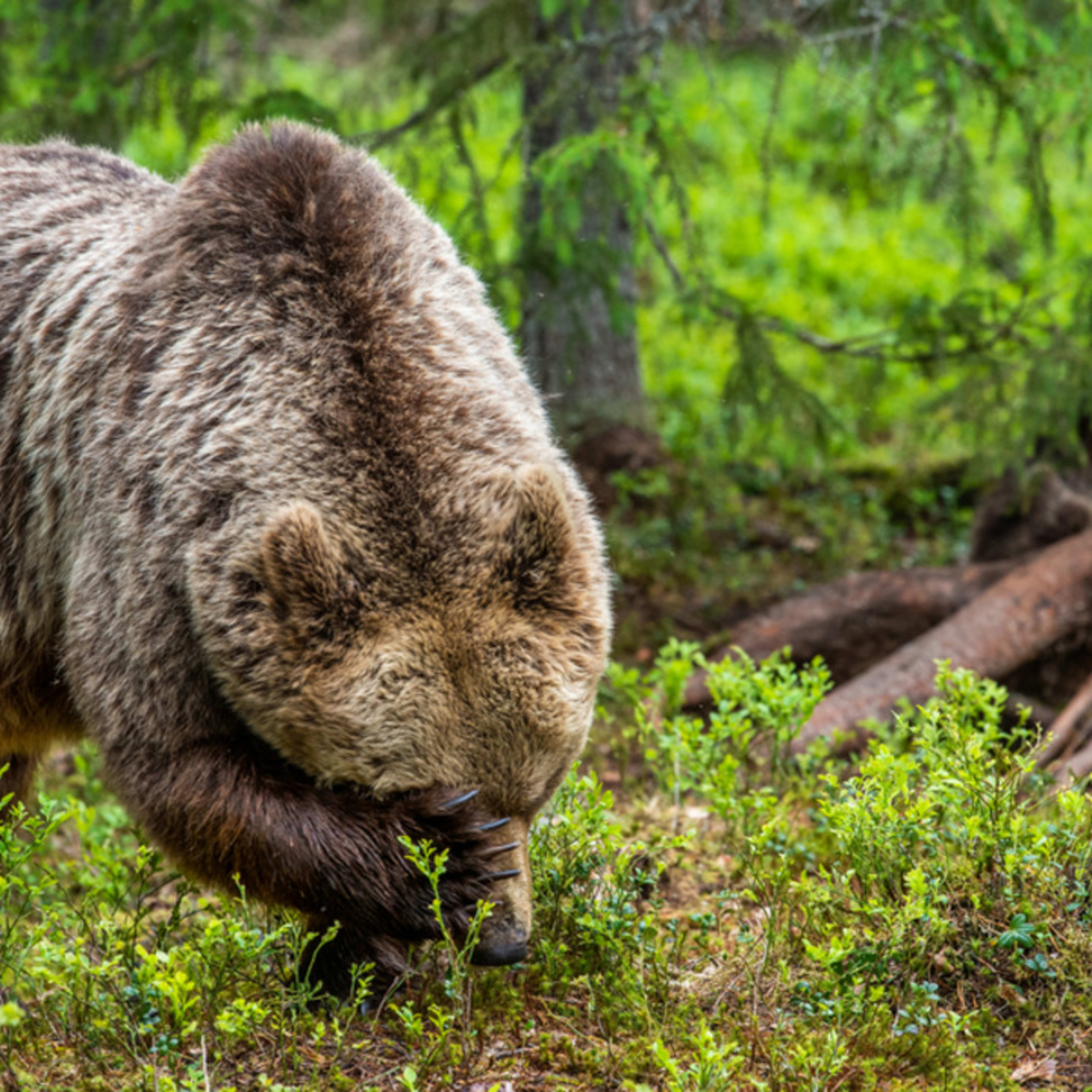 The 9 Cat Personalities: Feline-ality and Meet Your Match - PetHelpful