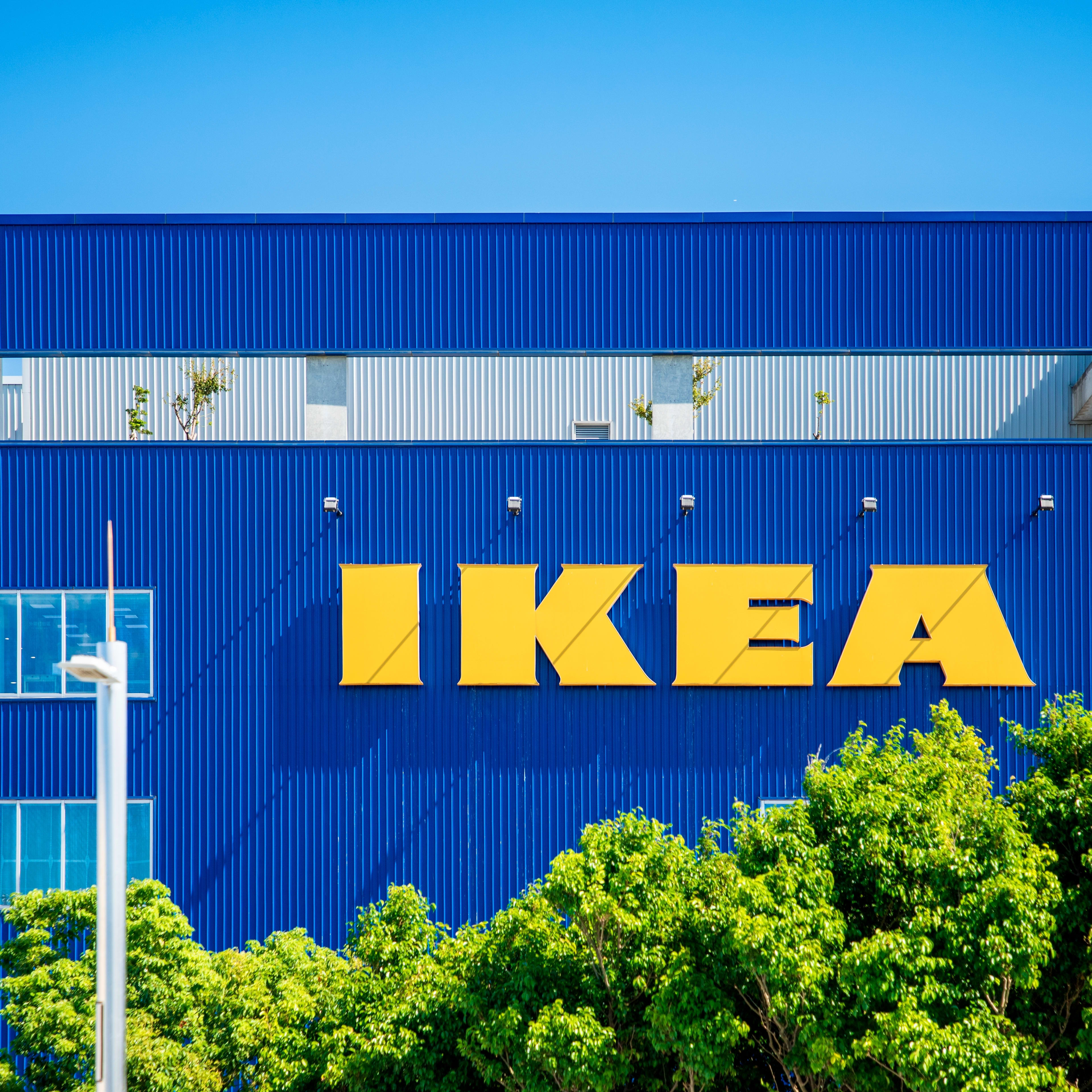 6 Big Mistakes When Teaching Your Puppy to Potty Outside - PetHelpful