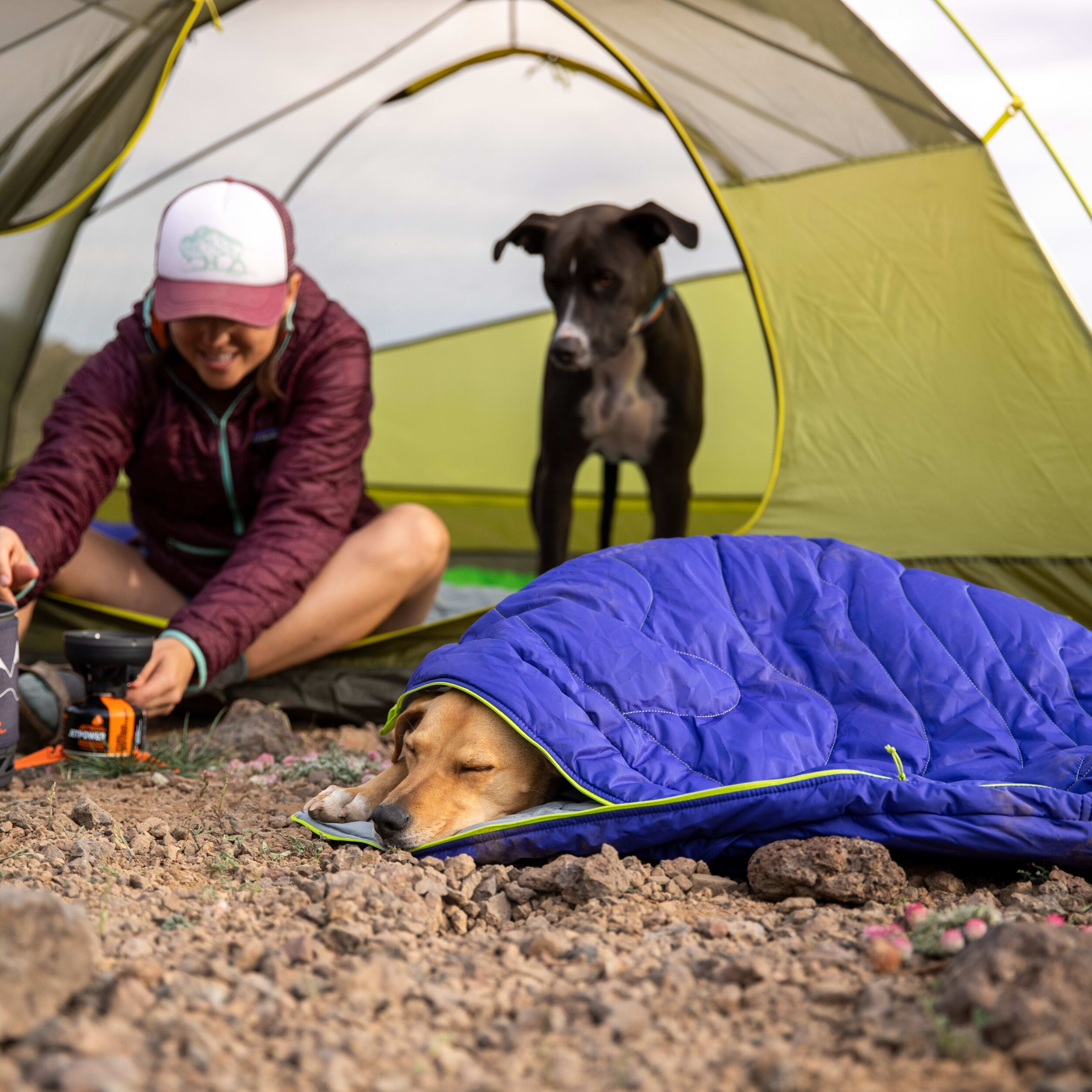 Adventure Dog Parents Love This Cozy Sleeping Bag From Ruffwear ...