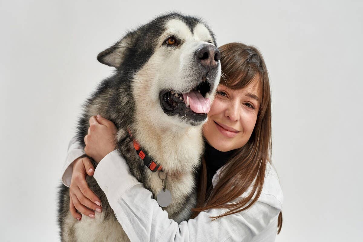 Hilarious Video Gives Brilliant Insight Into How Dogs See Humans ...