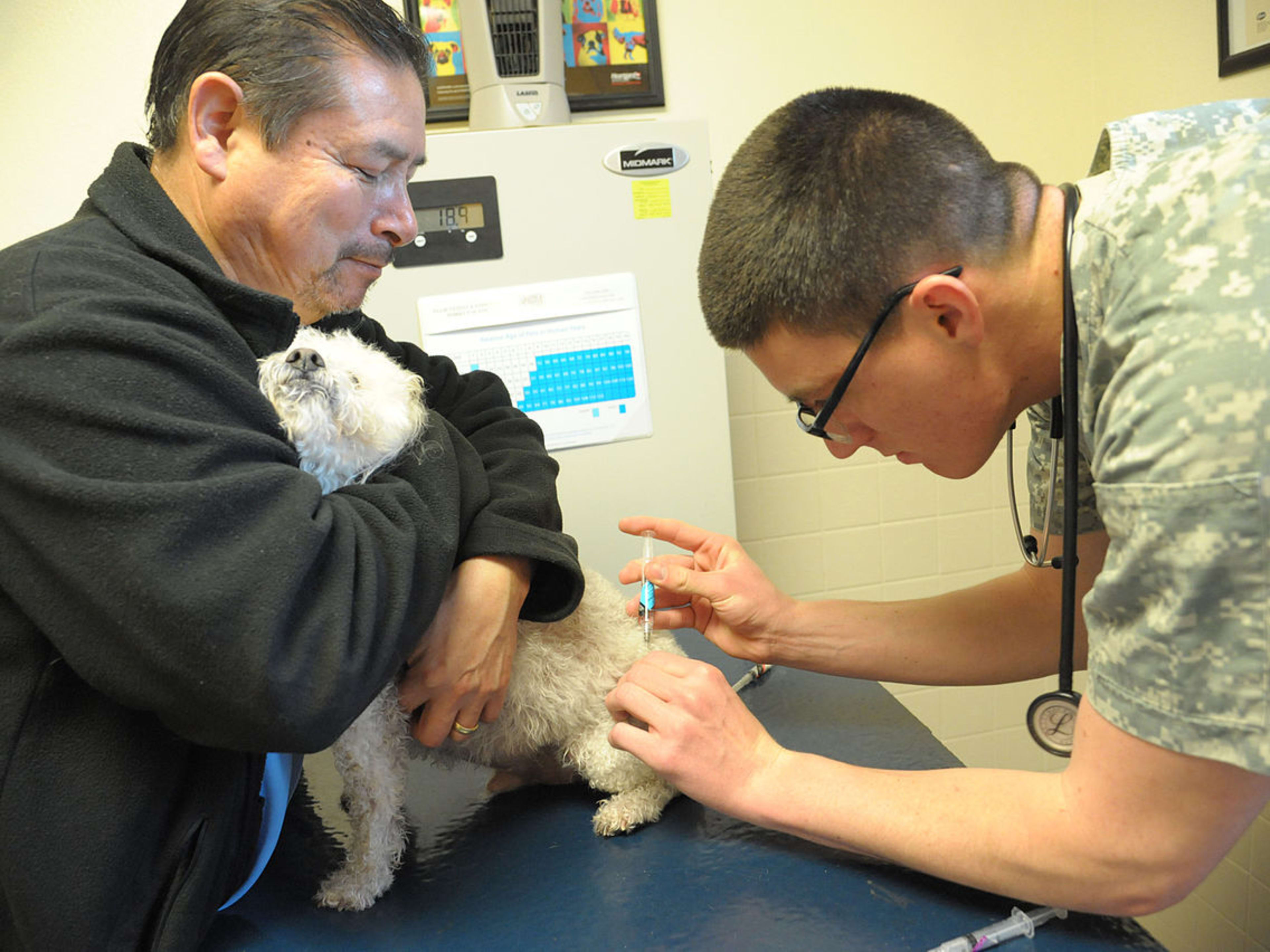 What Is Titre Testing and Is It an Alternative to Vaccinations ...