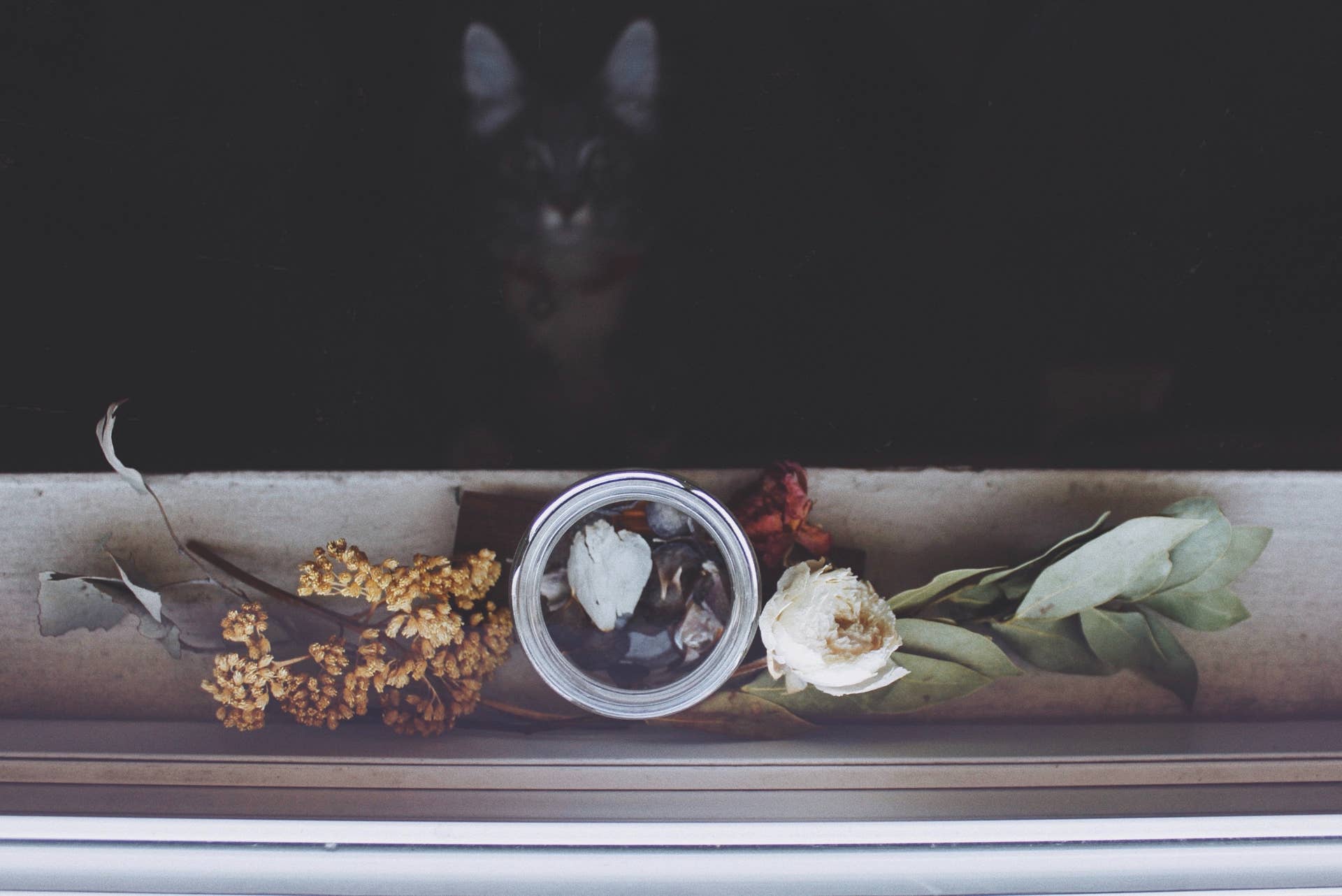 Pet Ownership - PetHelpful