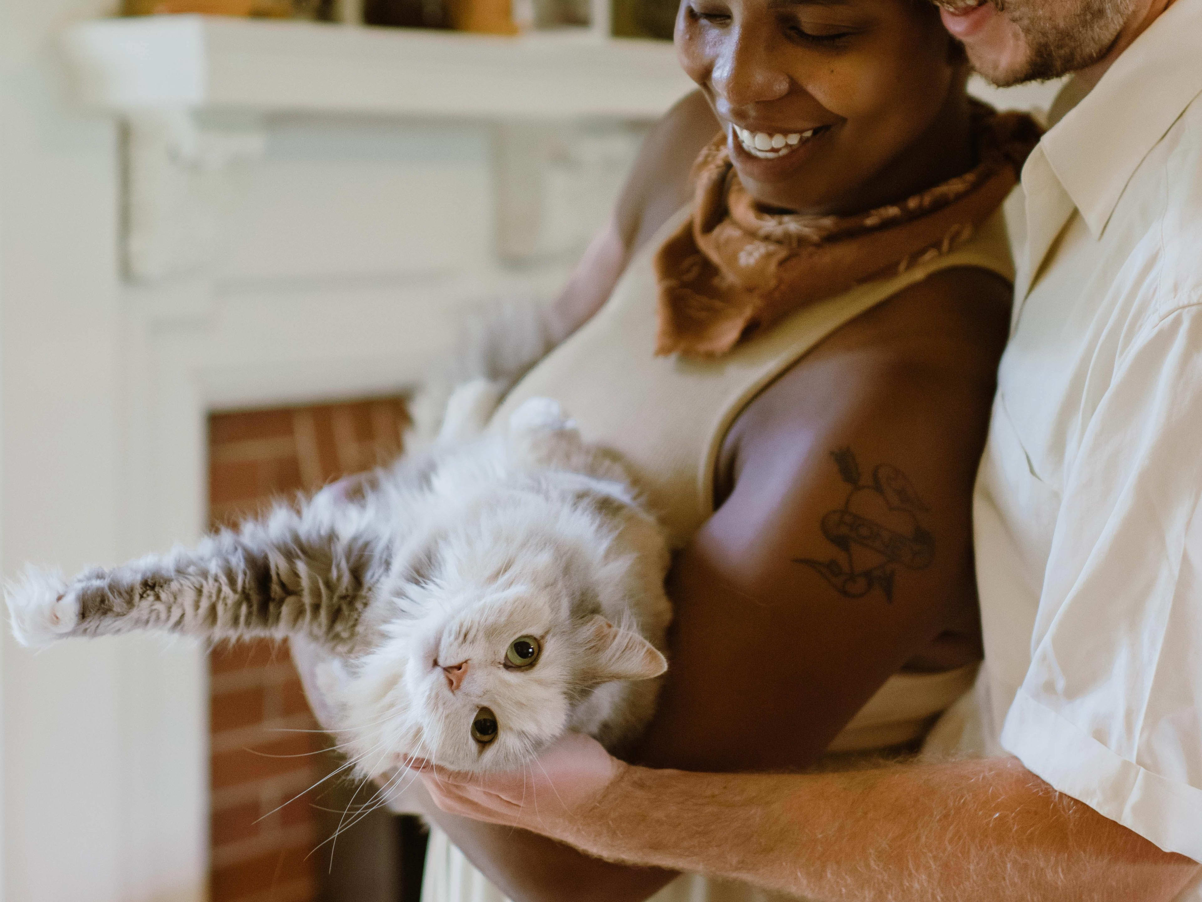 The 9 Cat Personalities: Feline-ality and Meet Your Match