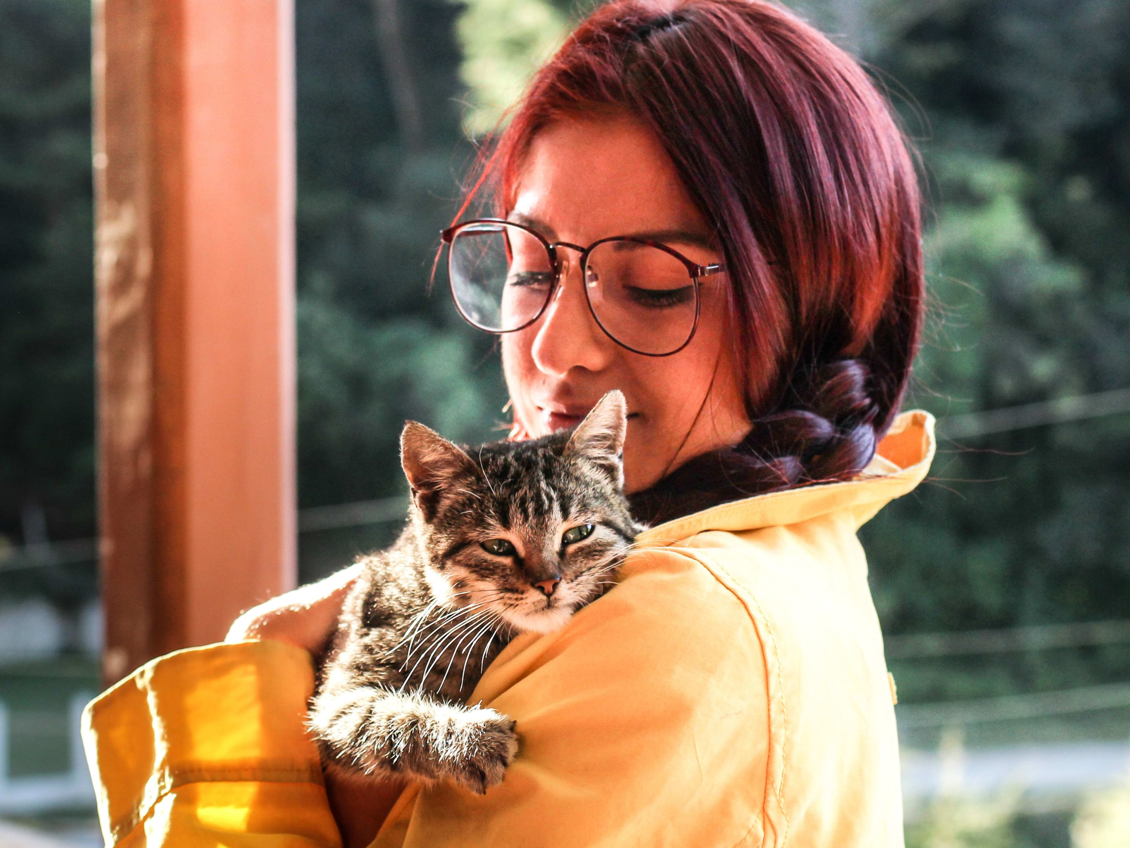 Rehoming a Dog: When It's Time and How to Do It Responsibly - PetHelpful