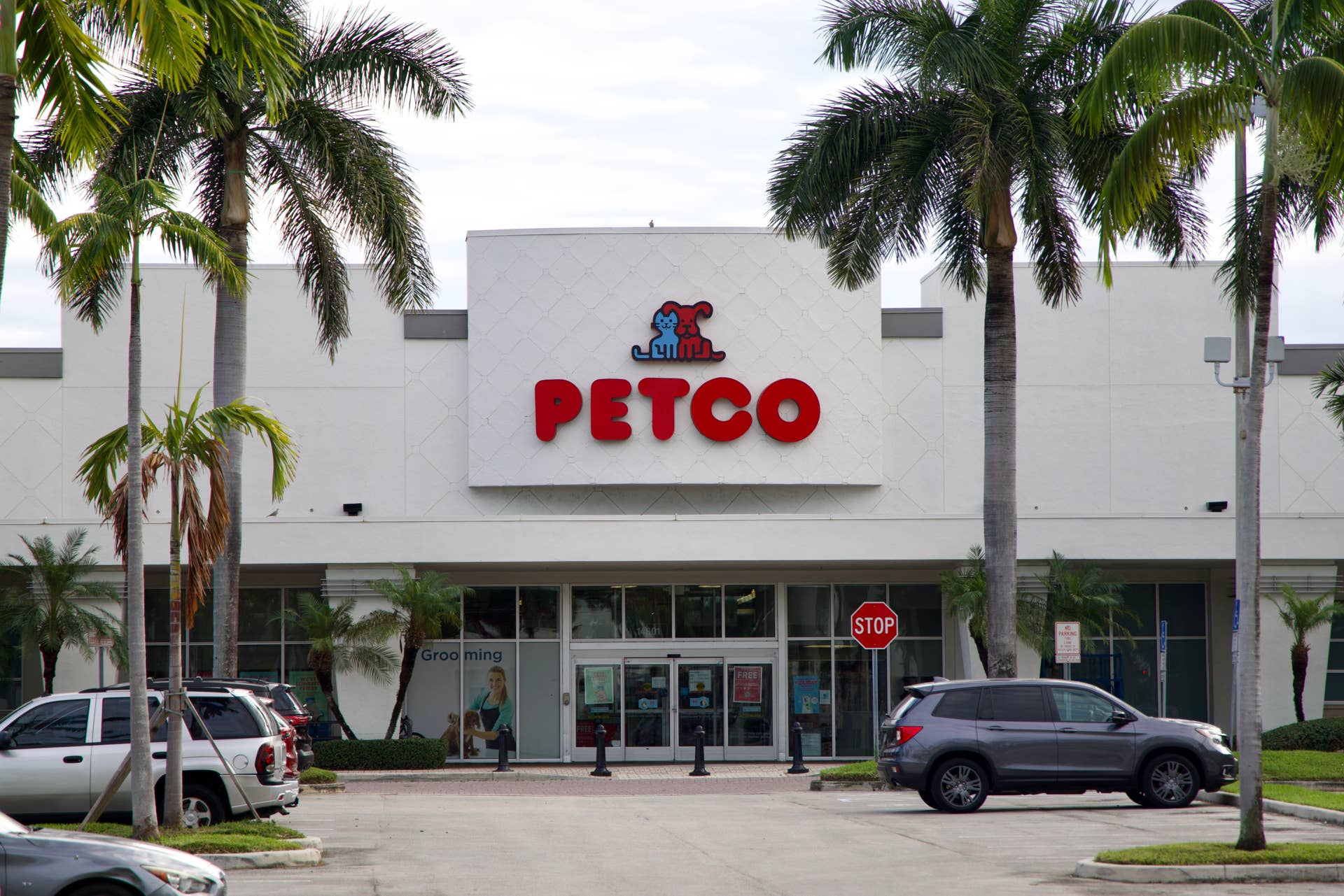 Petco’s Furhaven Waterproof Calming Blanket Is a Must-Have - PetHelpful