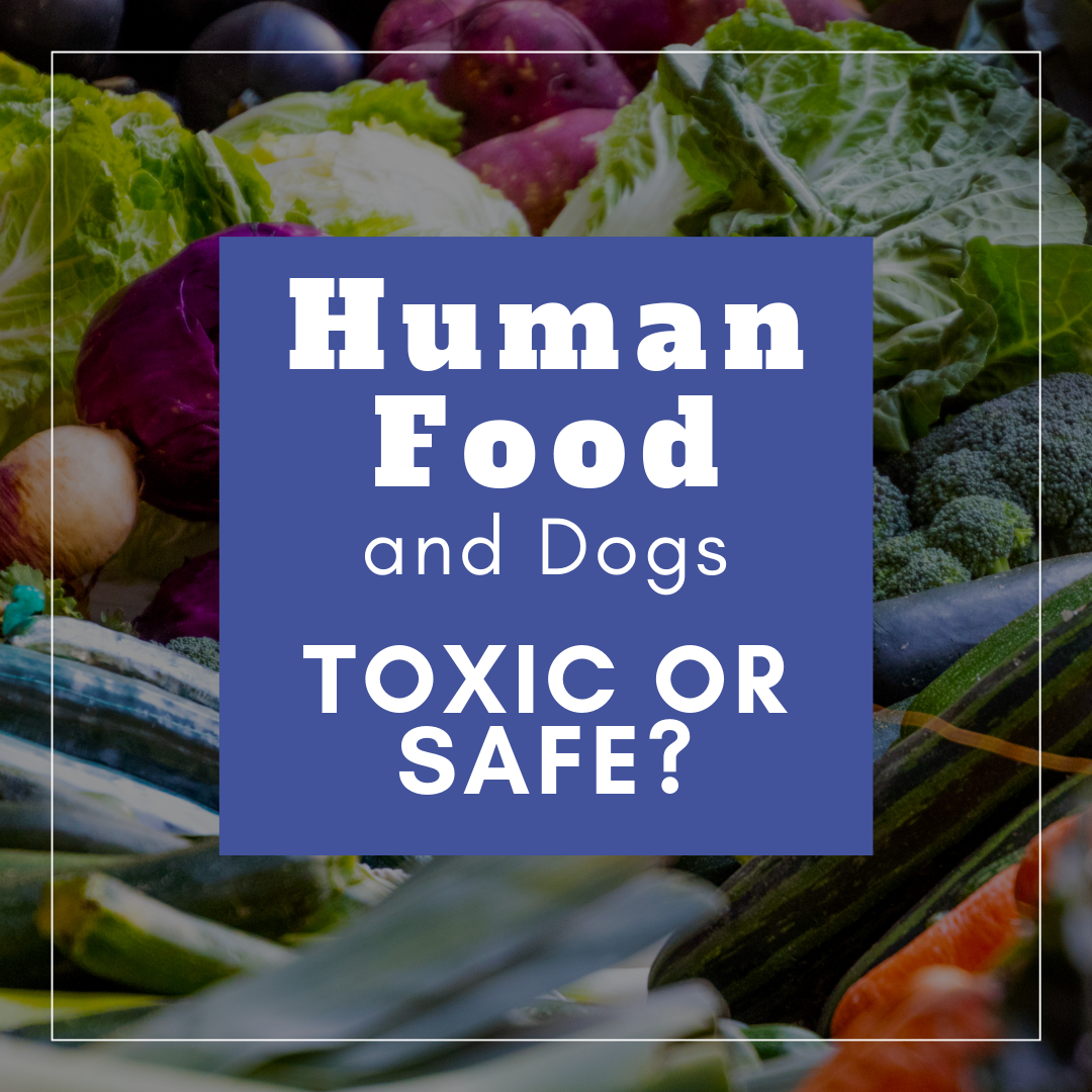 7 Foods That Are Toxic for Dogs and 7 Foods That Are Safe - PetHelpful