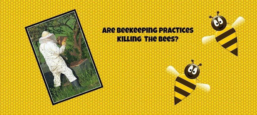 Honey Bee Colony Collapse Disorder