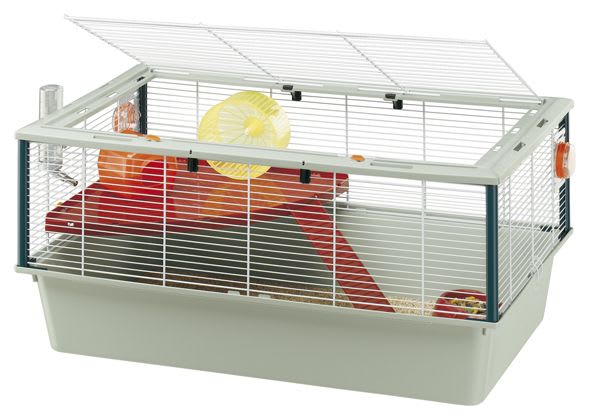 Cage Rage in Hamsters: The Complete Guide